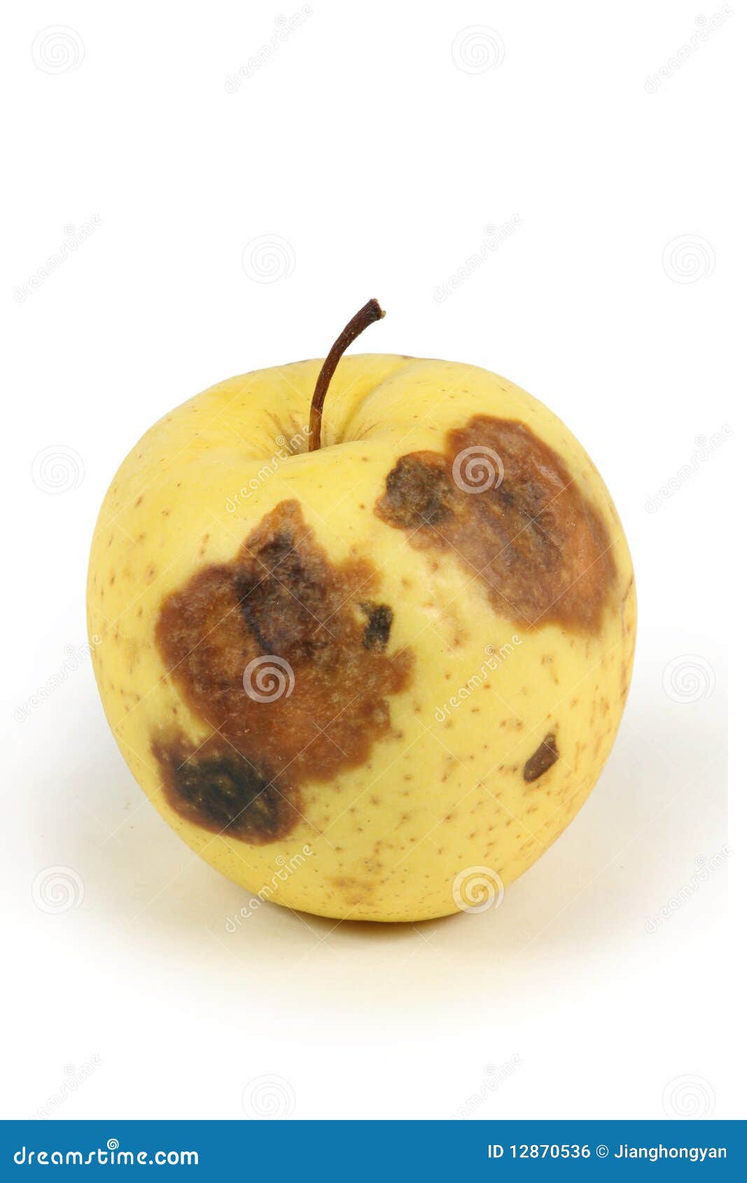 Rotten apples stock photo. Image of round, three, food - 12870536