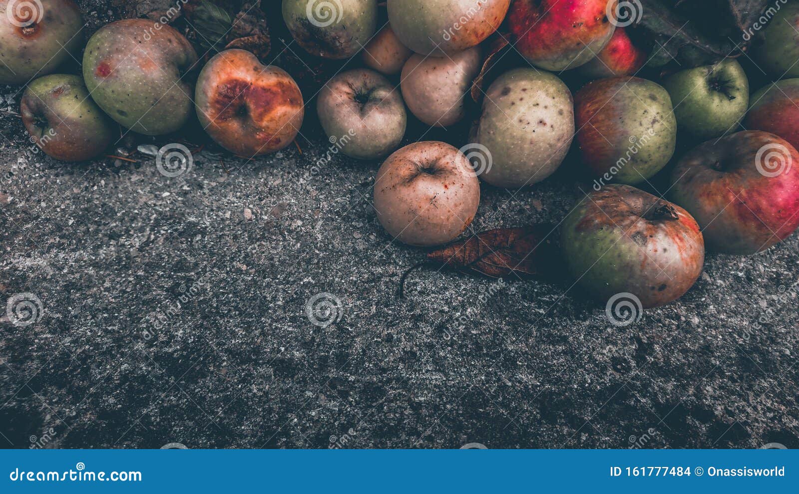 Rotten Apples Retro Colors stock photo. Image of apple - 161777484