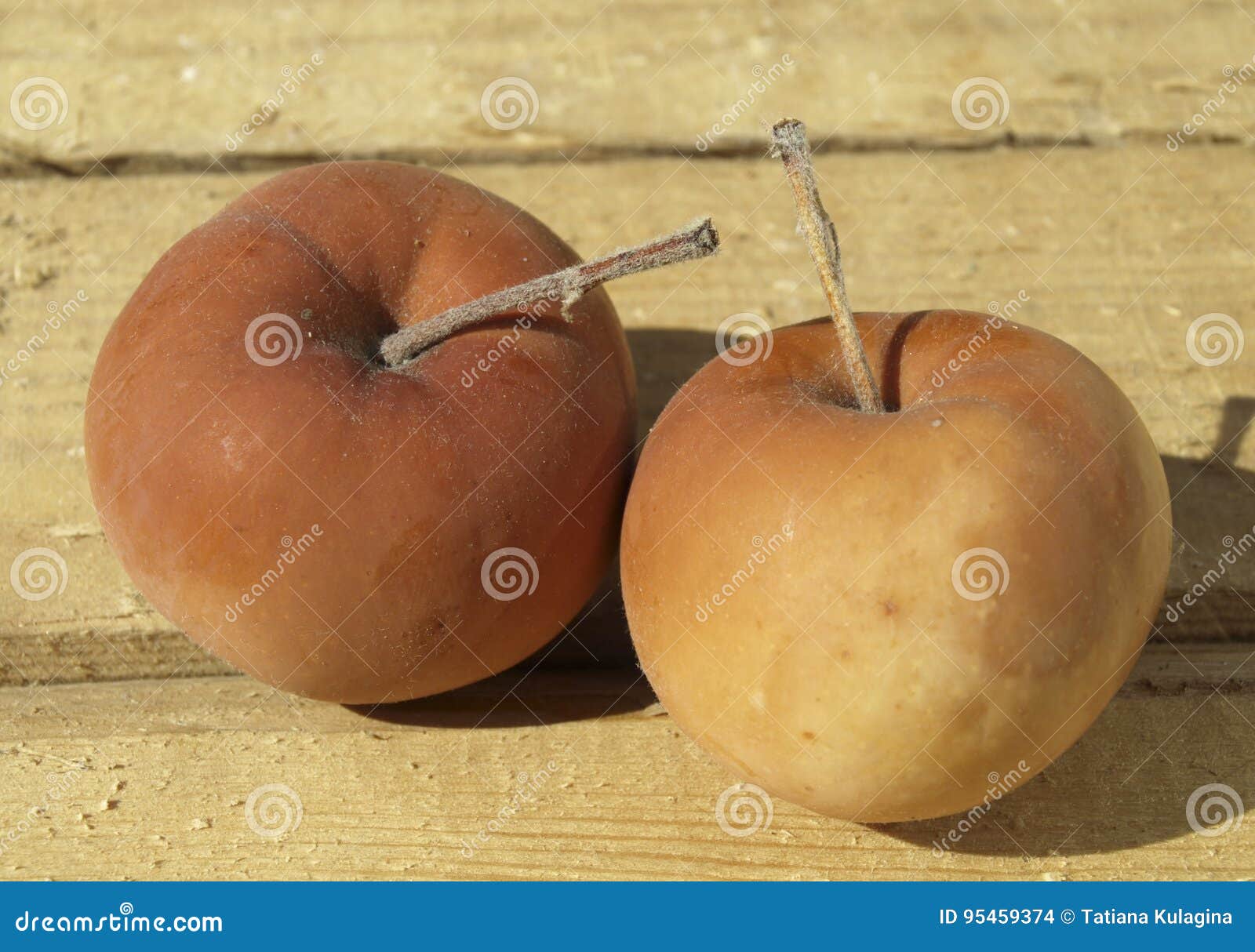 Rotten apples stock photo. Image of conversion, healthy - 95459374