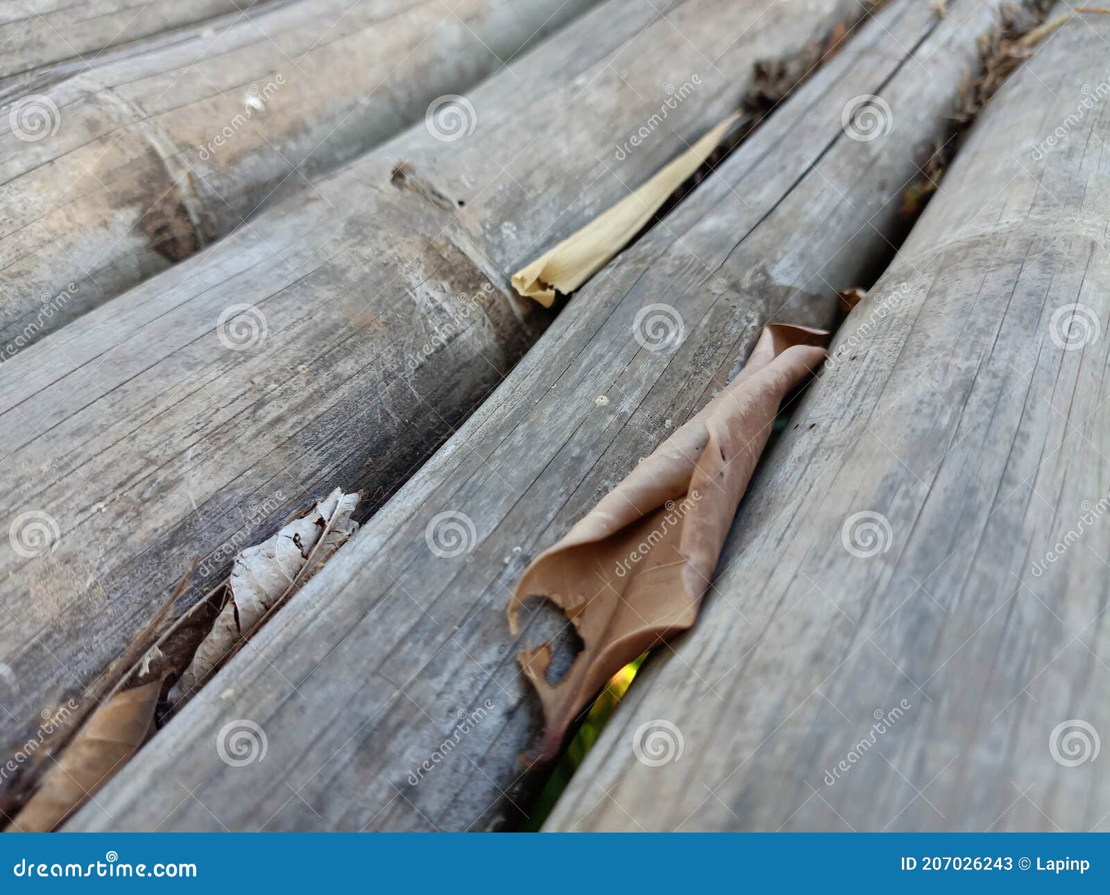 The Rotten Bamboo Texture with Natural Patterns Stock Image - Image of ...