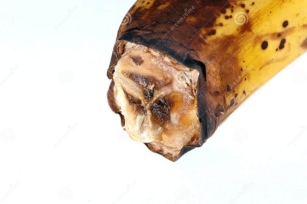 Rotten Banana stock photo. Image of stem, banana, fruit - 420214