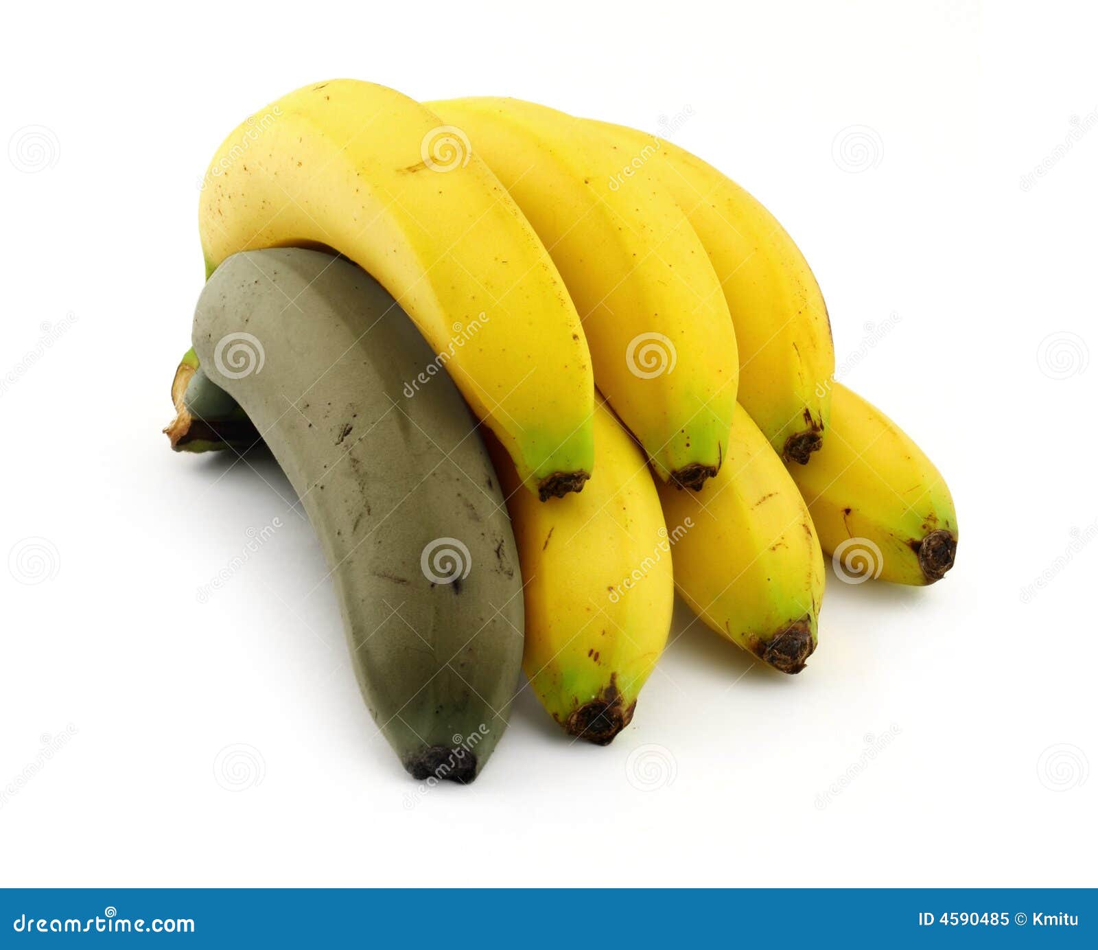 Rotten banana stock image. Image of diversity, disadvantageous - 4590485
