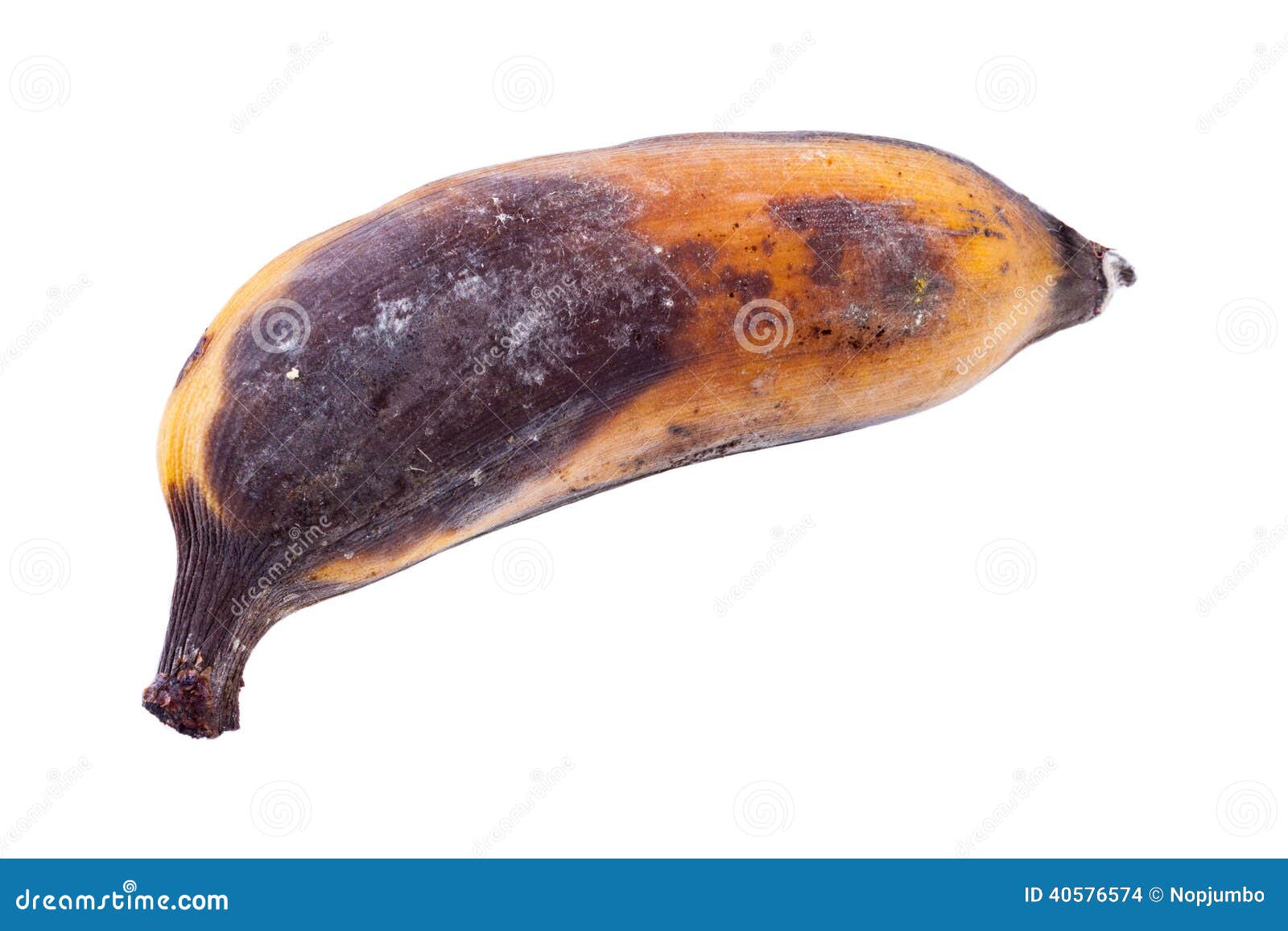 Rotten banana stock photo. Image of peel, mould, isolated - 40576574