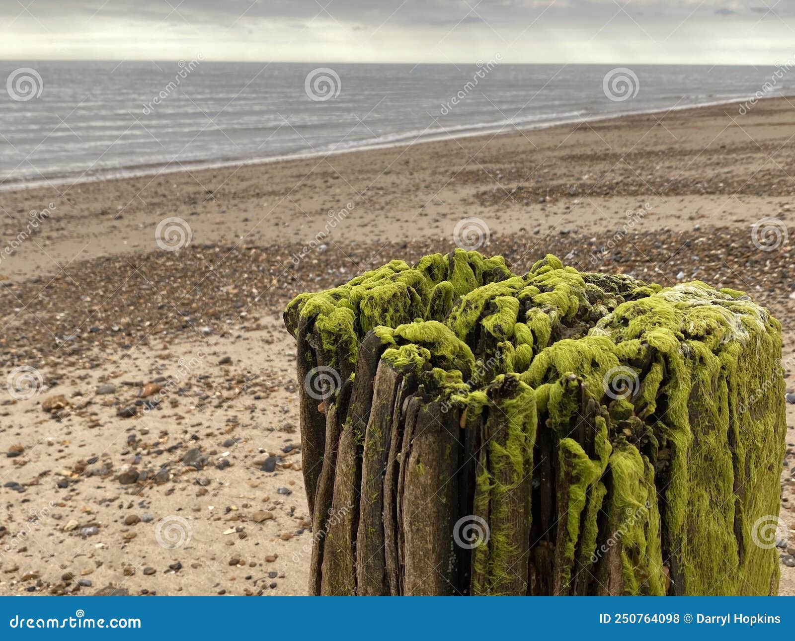 Rotten Beach Post Photos - Free & Royalty-Free Stock Photos from Dreamstime