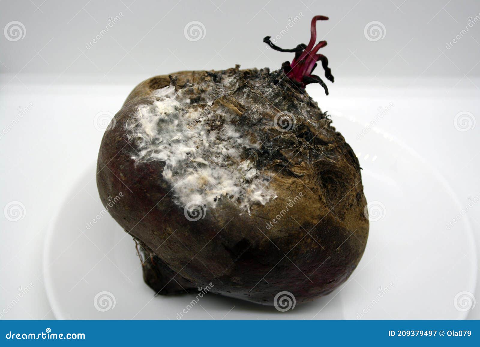 Rotten Beetroot on a White Background. Vegetables Stock Image - Image ...