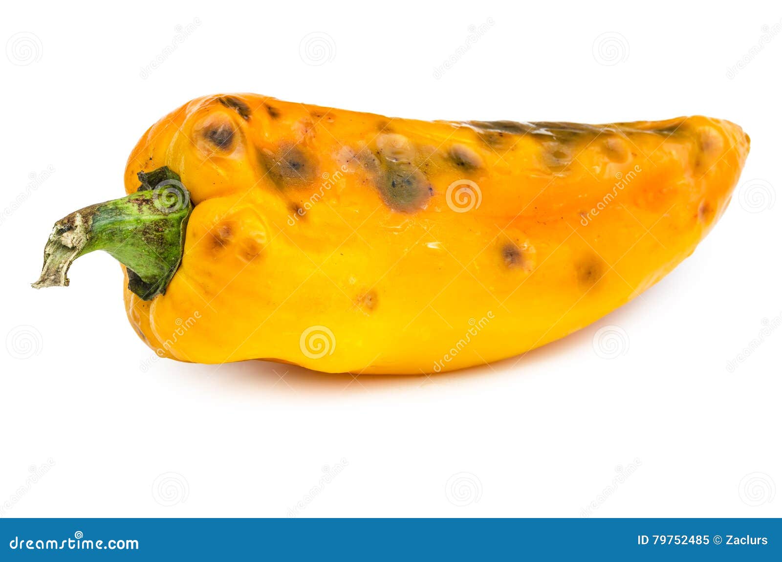 Rotten Bellpepper Isolated On White Royalty-Free Stock Photography ...