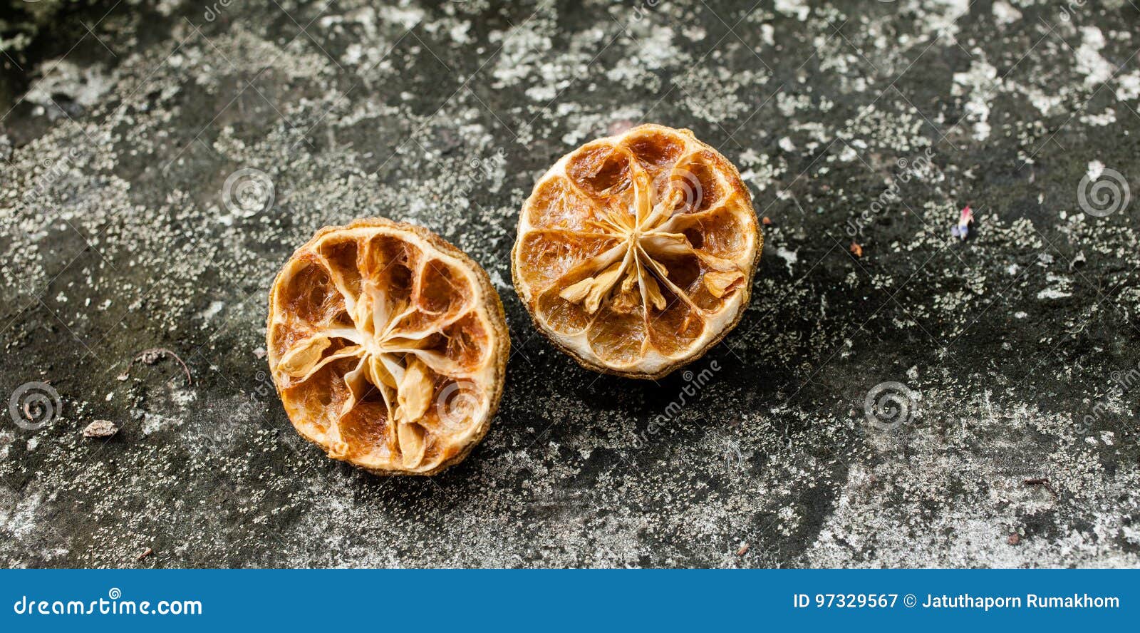 Rotten bergamot stock image. Image of organic, herb, dirty - 97329567