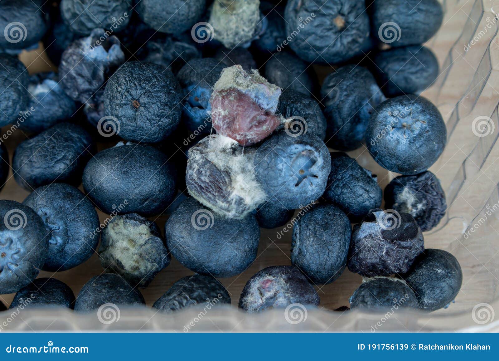 Rotten Blueberry, Blueberry Went Mouldy Stock Image - Image of mildew ...