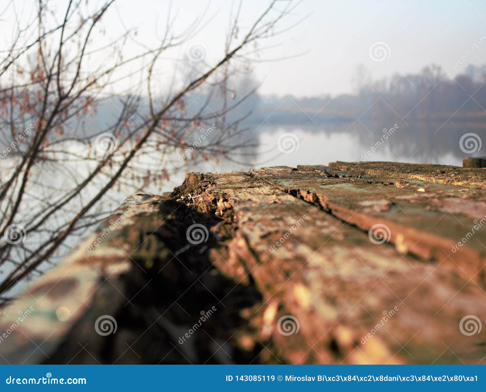 Rotten board on the table stock image. Image of looks - 143085119