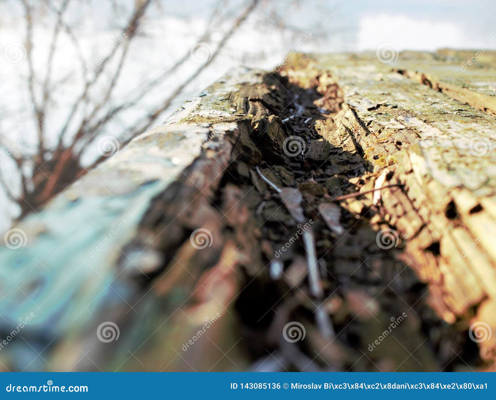 Rotten board on the table stock photo. Image of board - 143085136