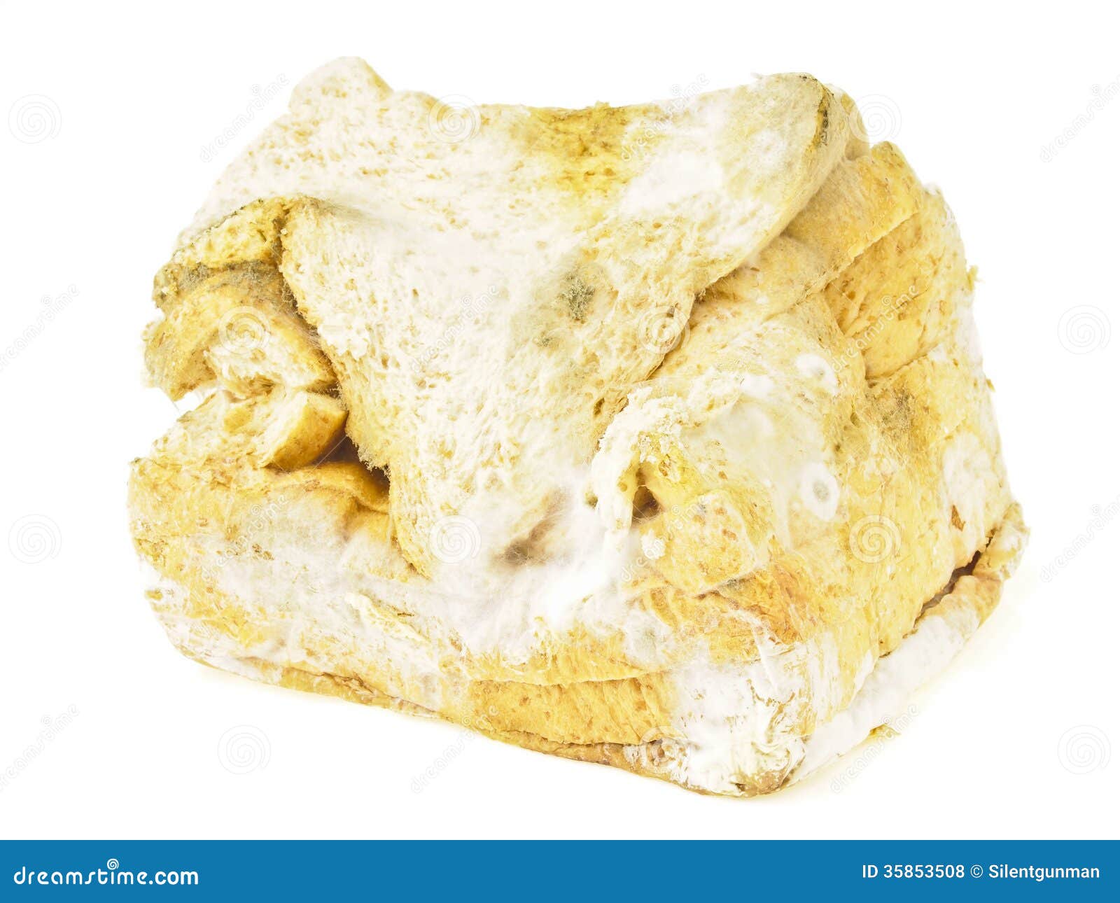 Rotten bread stock photo. Image of closeup, dirty, mold - 35853508