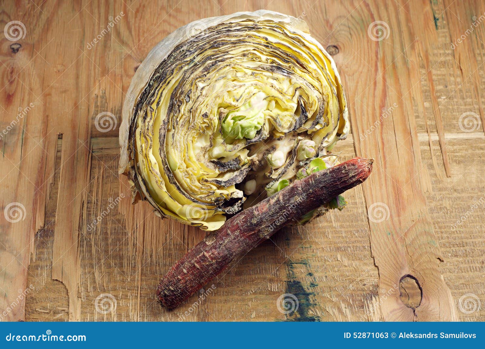 Rotten Cabbage And Carrot Royalty-Free Stock Photography ...