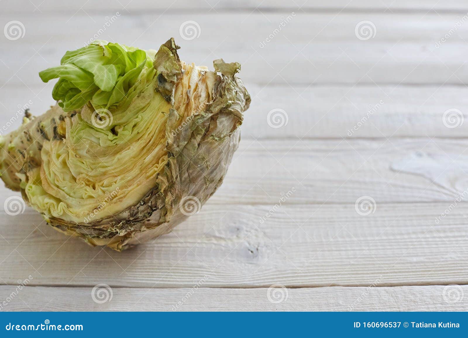 Rotten Cabbage On A Wooden Background. The Problem Of Garbage And ... Rotten Cabbage On A Wooden Background. The Problem Of Garbage And ...