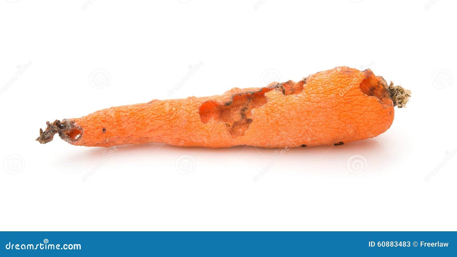 Rotten Carrot Isolated Stock Image | CartoonDealer.com #88674601