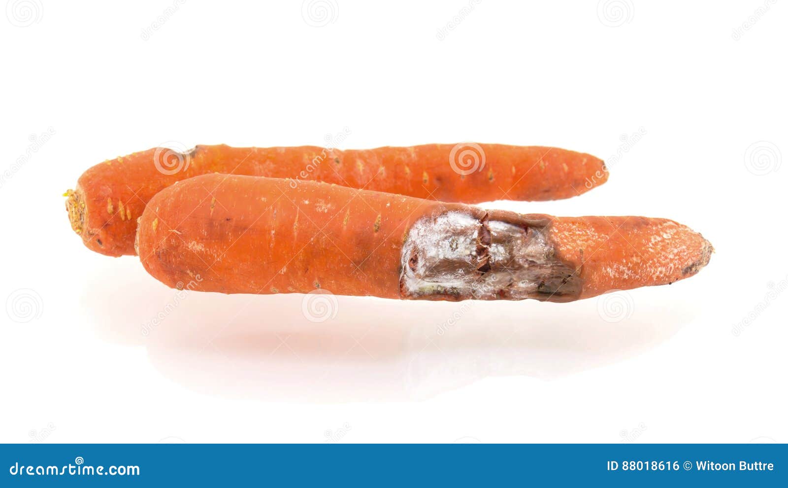 Rotten carrot isolated stock photo. Image of food, rotten - 88018616
