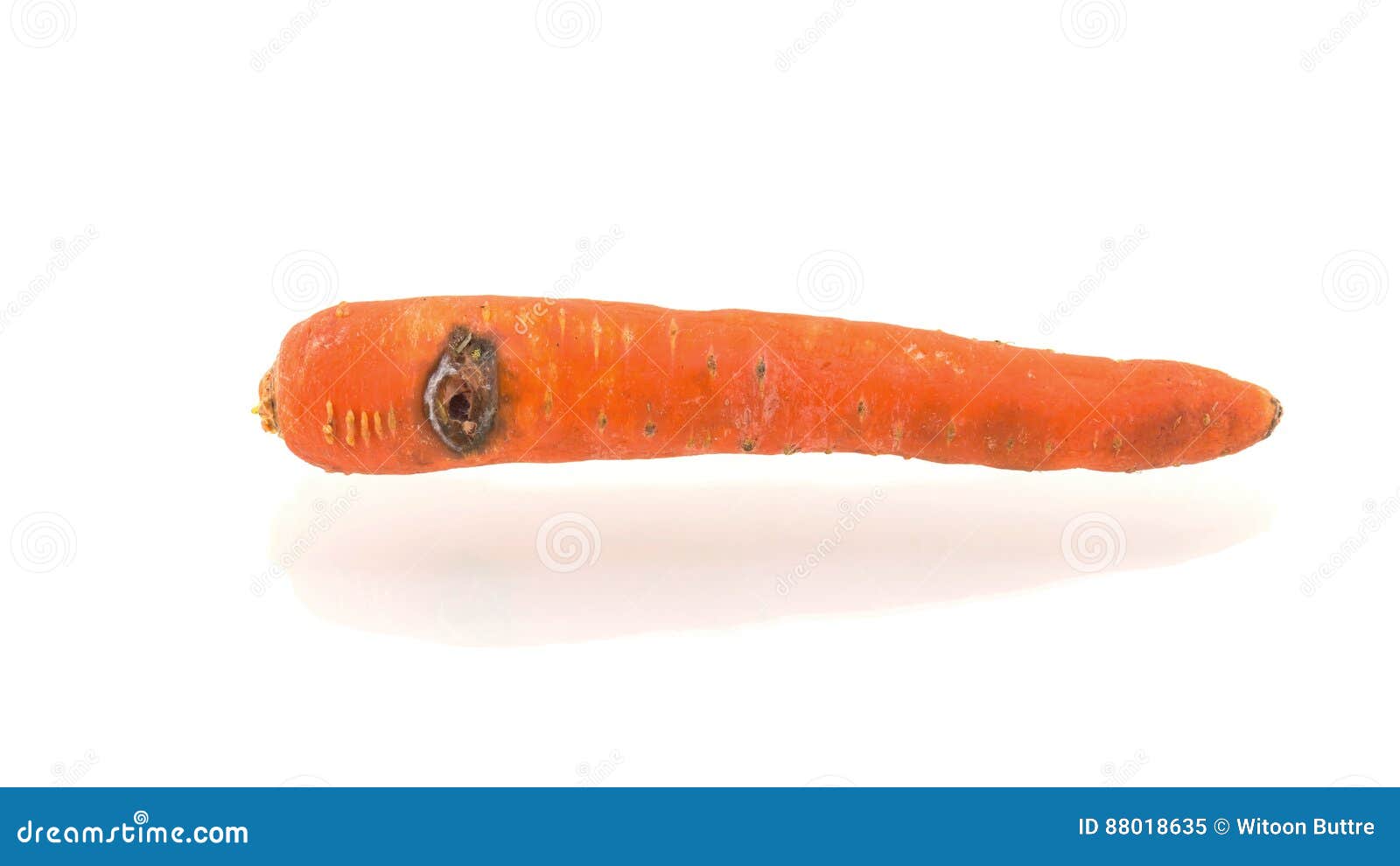 Rotten Carrot Isolated Stock Image | CartoonDealer.com #88674601