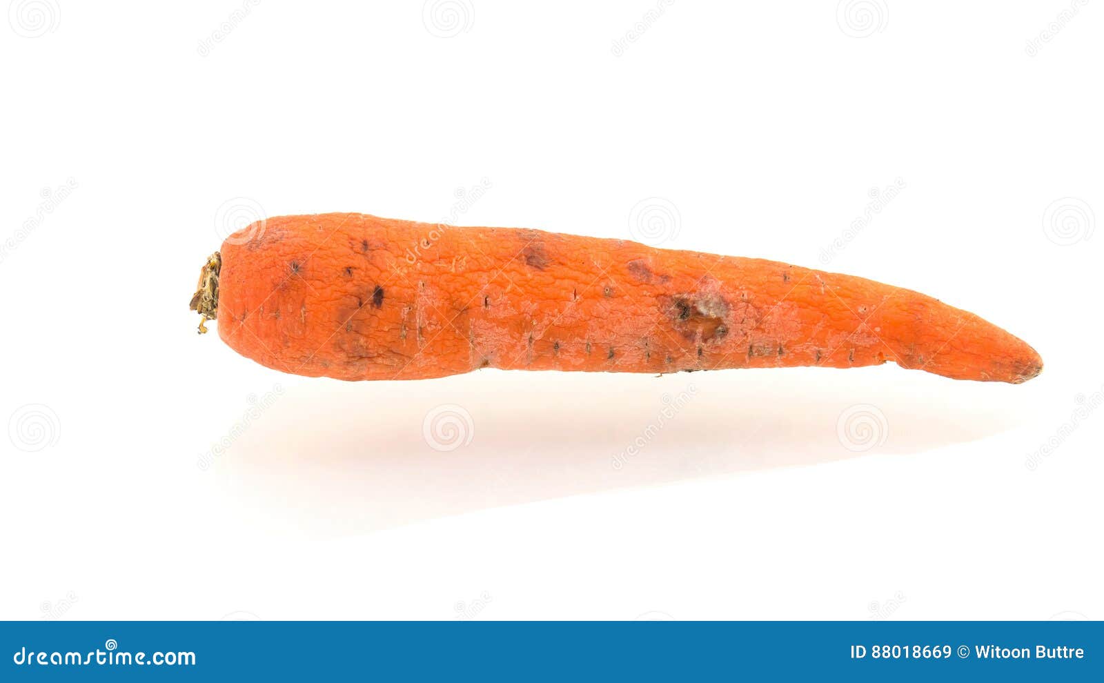 Rotten Carrot Isolated Stock Image | CartoonDealer.com #88674601