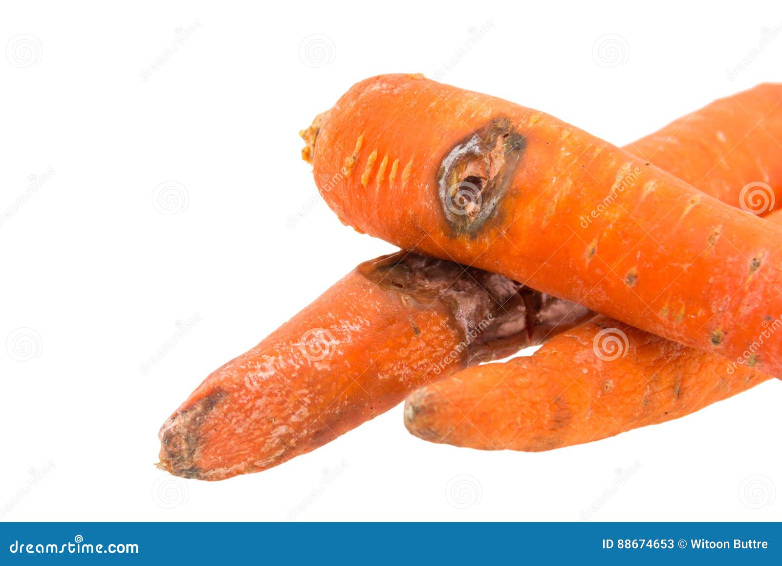Rotten carrot isolated stock image. Image of carrot, crack - 88674653