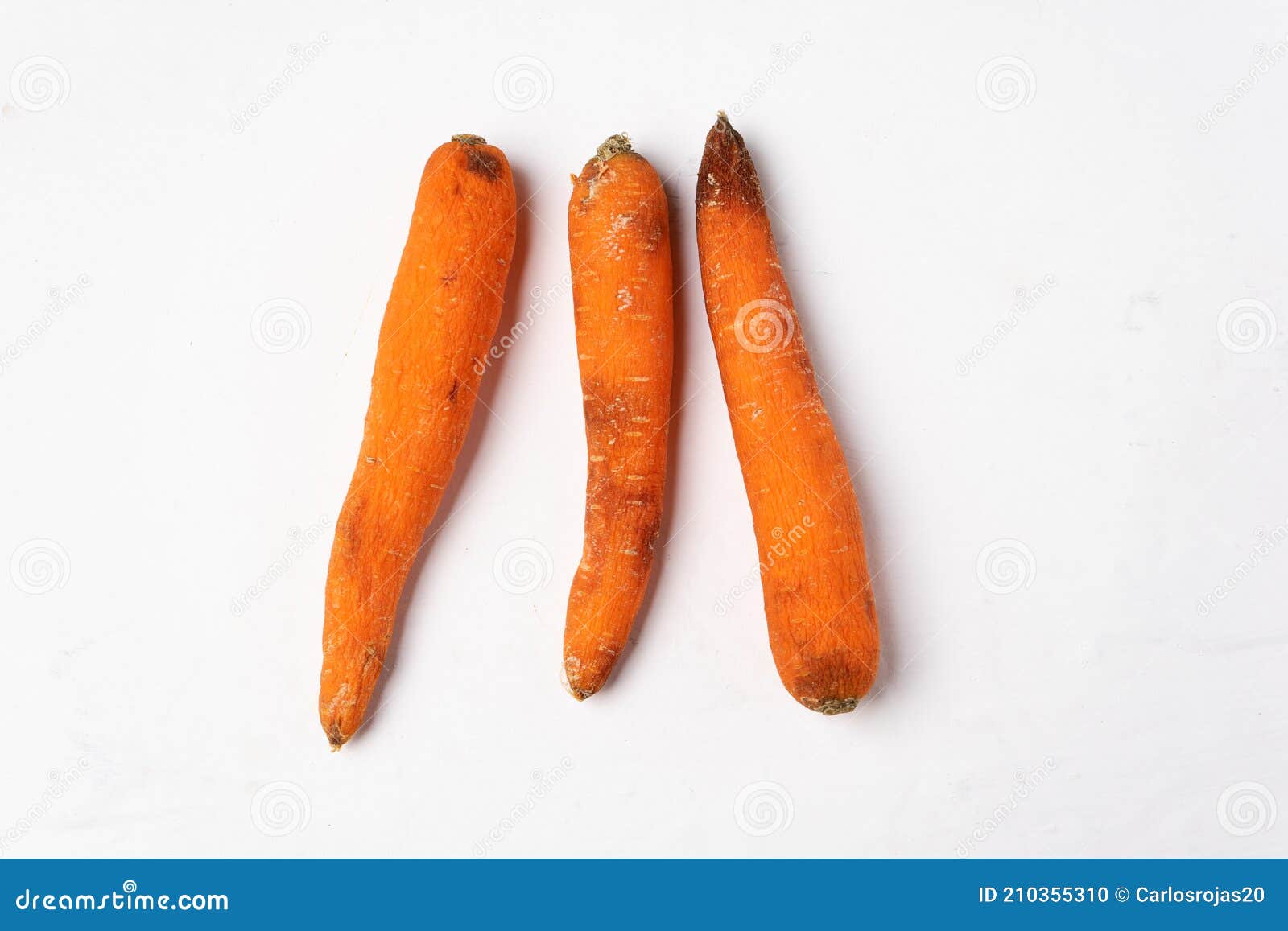 Rotten Carrots. Spoiled Moldy Vegetable Waste. Wasted Sweaty Mouldy ...