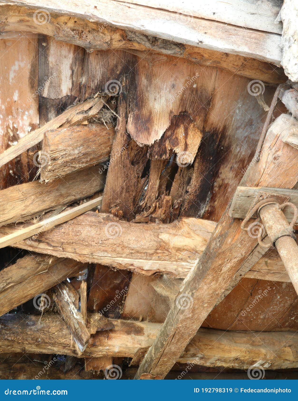 Rotten Ceiling with the Wooden Beams of an Ancient Mine S Stock Image ...