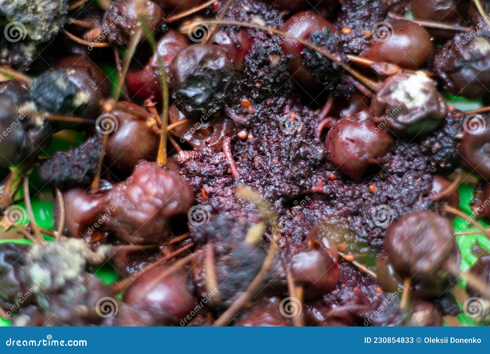 Rotten Cherries Macro Texture of Missing Cherries Stock Image - Image ...