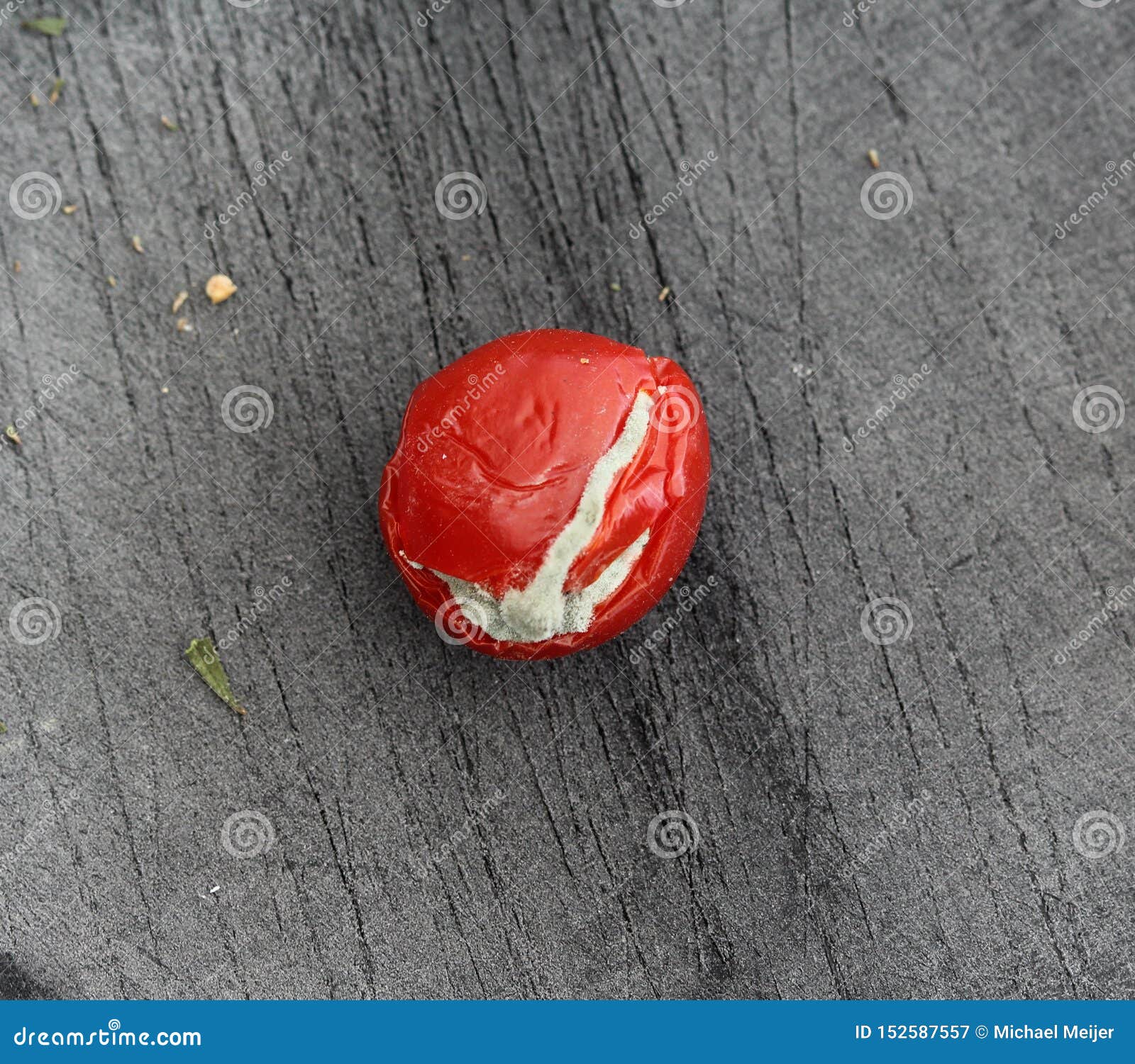 Rotten Red Cherry Tomato On Whote Background Royalty-Free Stock Image ...