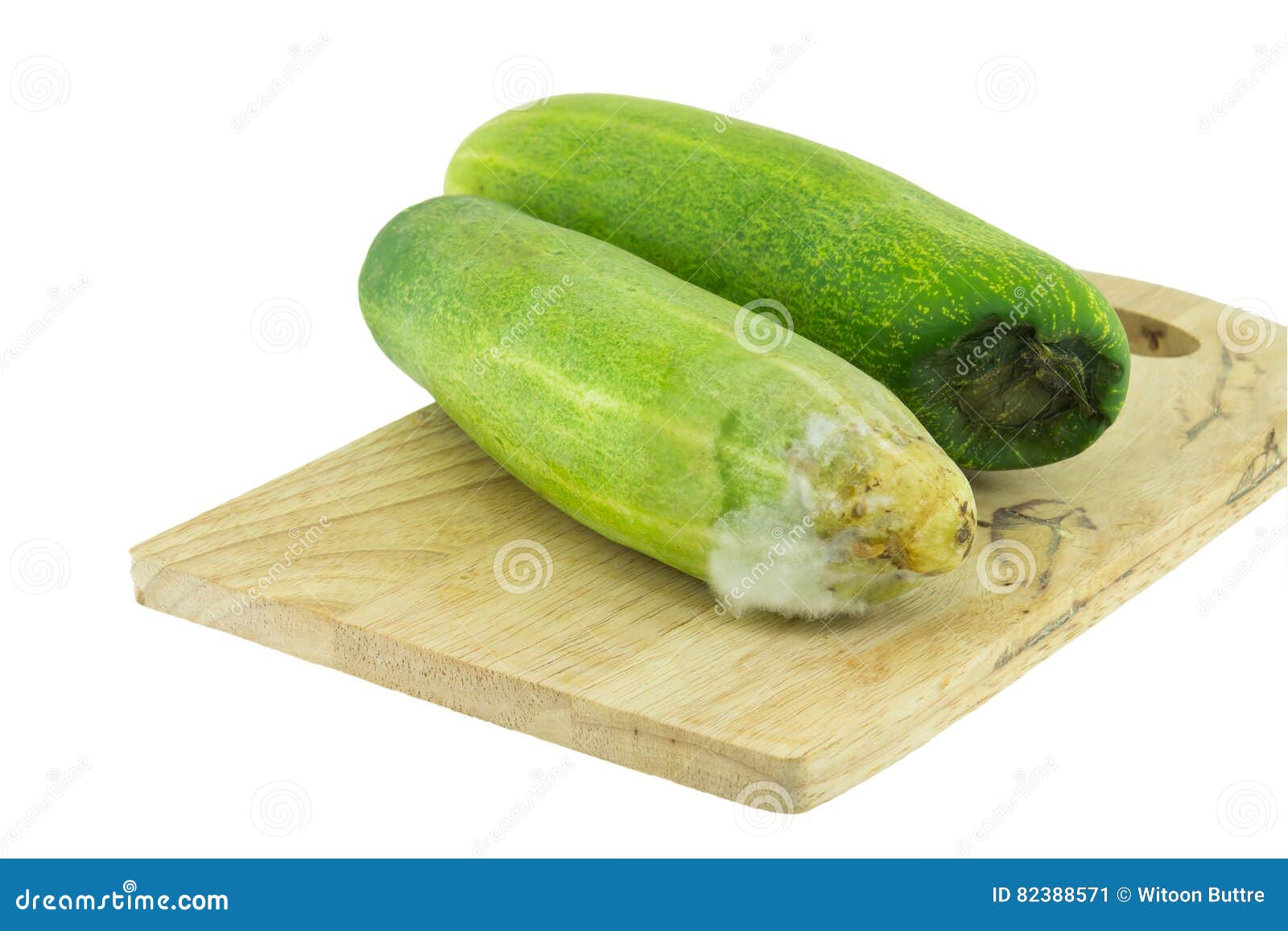 Rotten Cucumber Isolated on the White Stock Image - Image of depraved ...