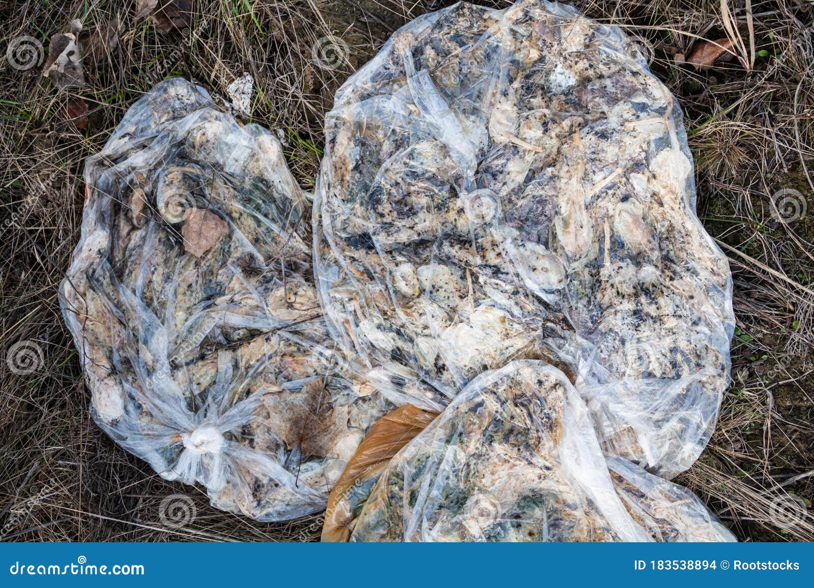 Rotten Cucumbers in Plastic Sacks Stock Photo - Image of environment ...