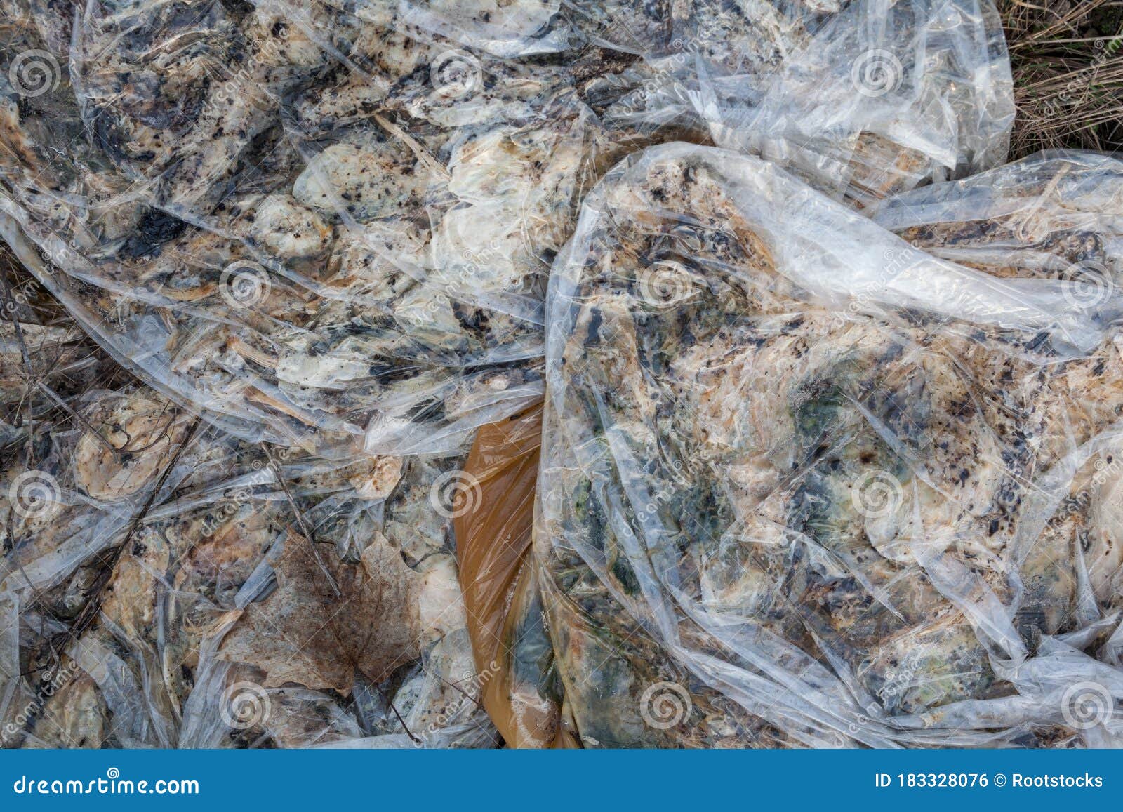 Rotten Cucumbers in Plastic Sacks Stock Photo - Image of decomposition ...