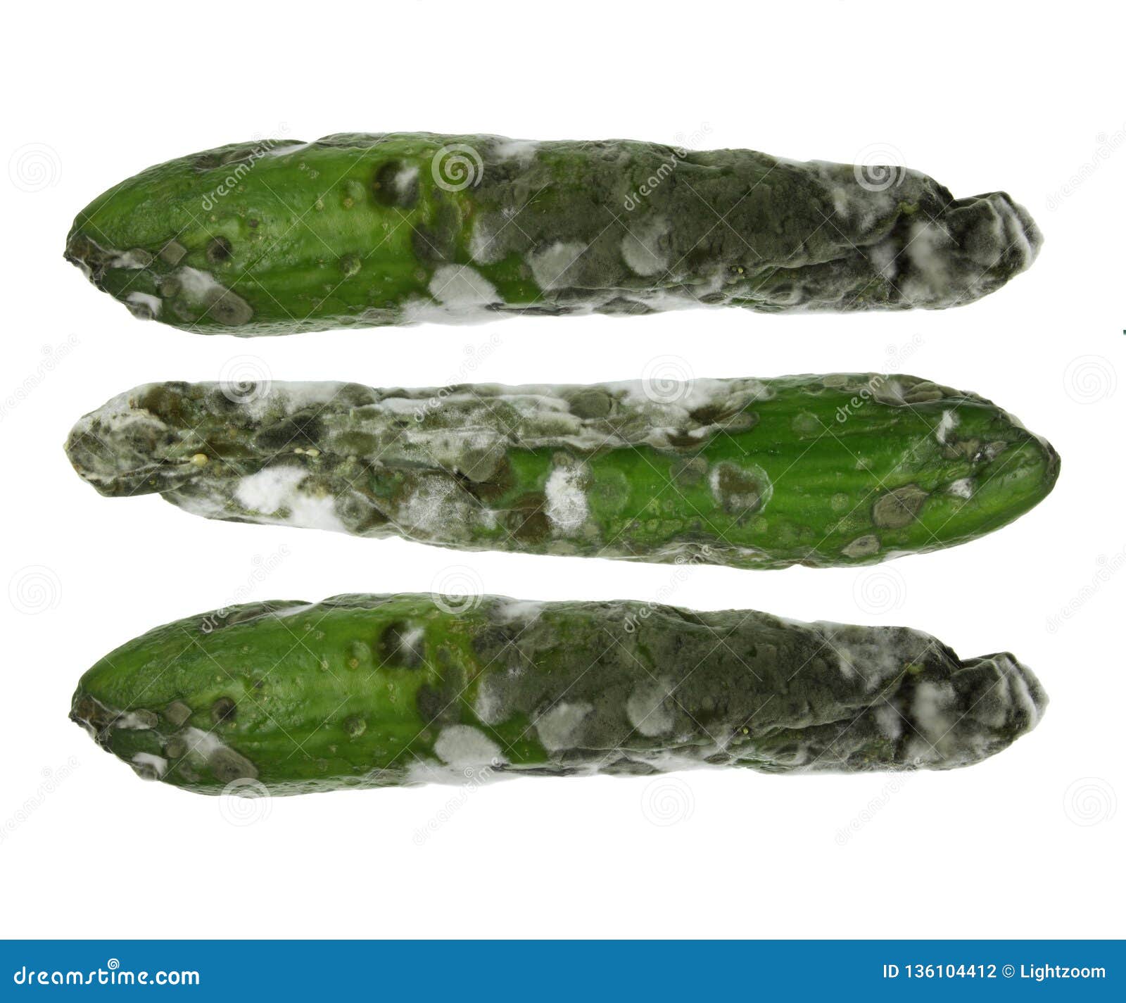 Rotten Cucumbers stock photo. Image of shot, perishable - 136104412