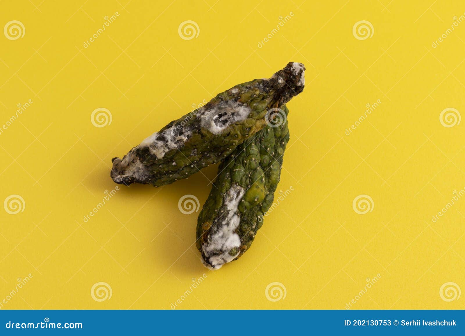 Rotten Cucumbers On Yellow Background. Excessive Consumption Concept ...