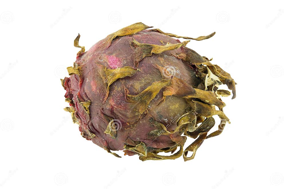 Rotten Dragon Fruit Isolated Stock Image - Image of fruit, asian: 82615789