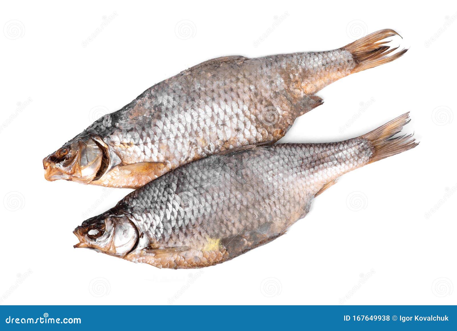 Moldy Fish With Rotten Carrot And Dried Onion On Crumpled Paper Stock ...