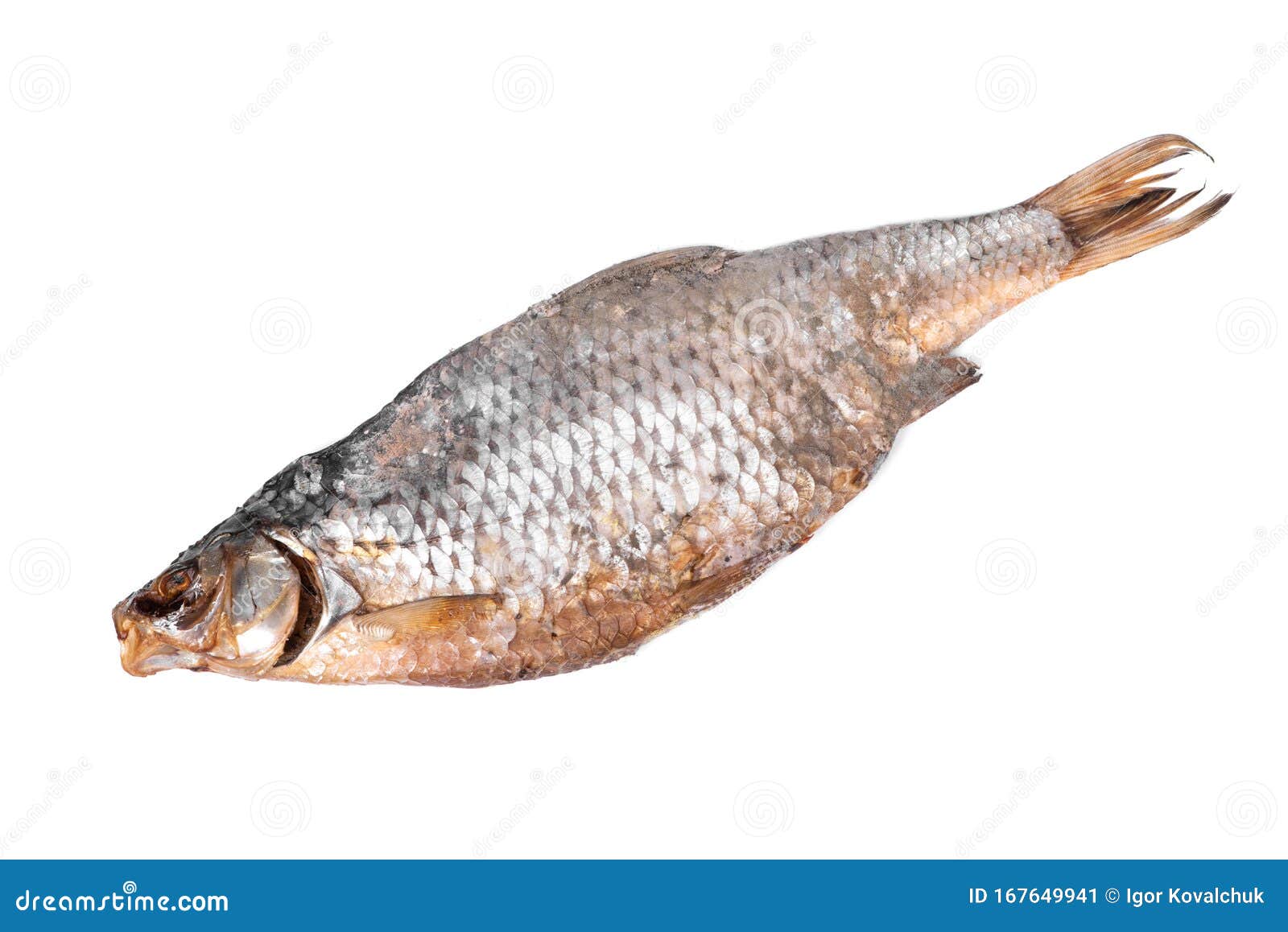 Moldy Fish With Rotten Carrot And Dried Onion On Crumpled Paper Stock ...