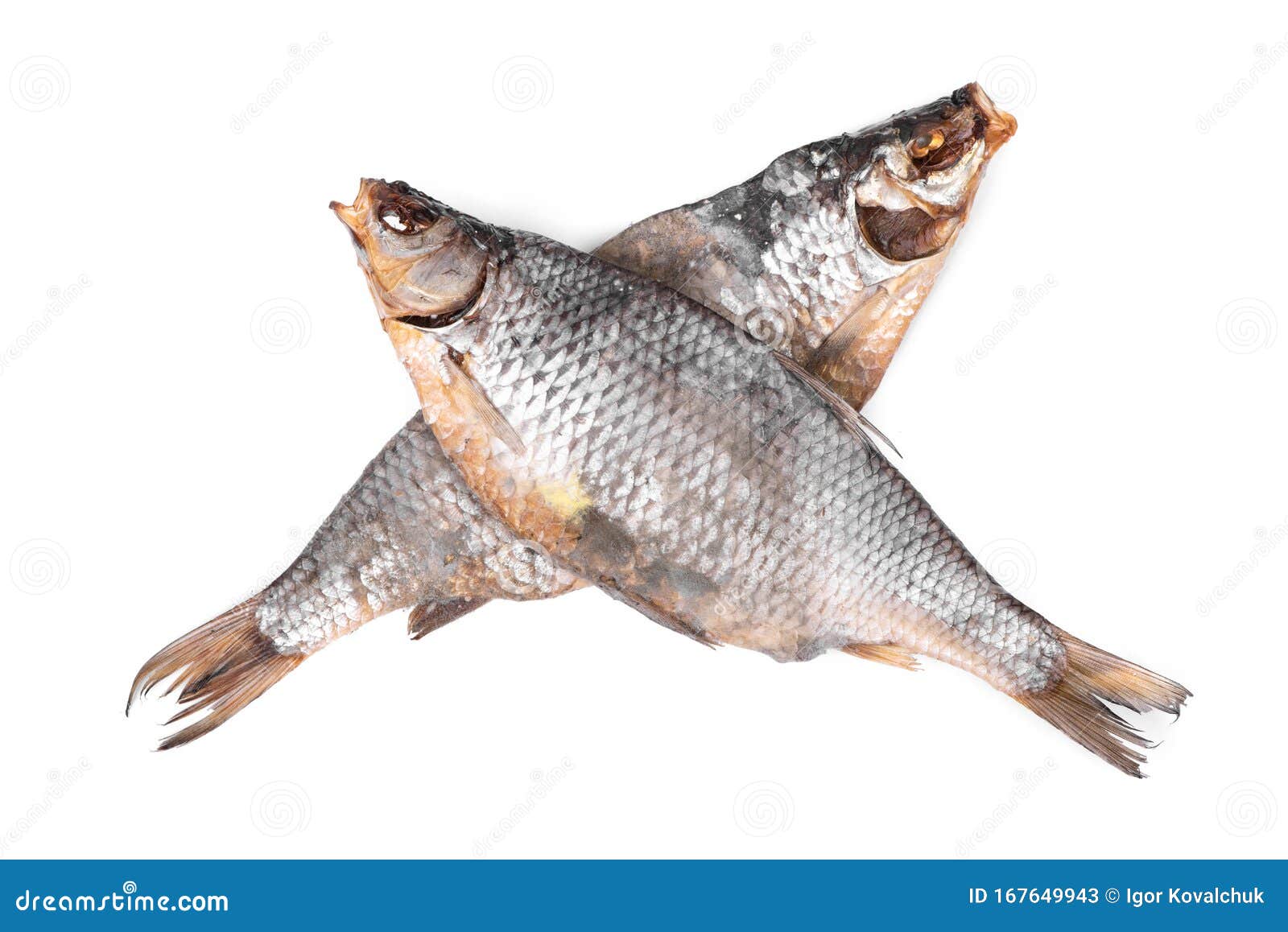 Moldy Fish With Rotten Carrot And Dried Onion On Crumpled Paper Stock ...