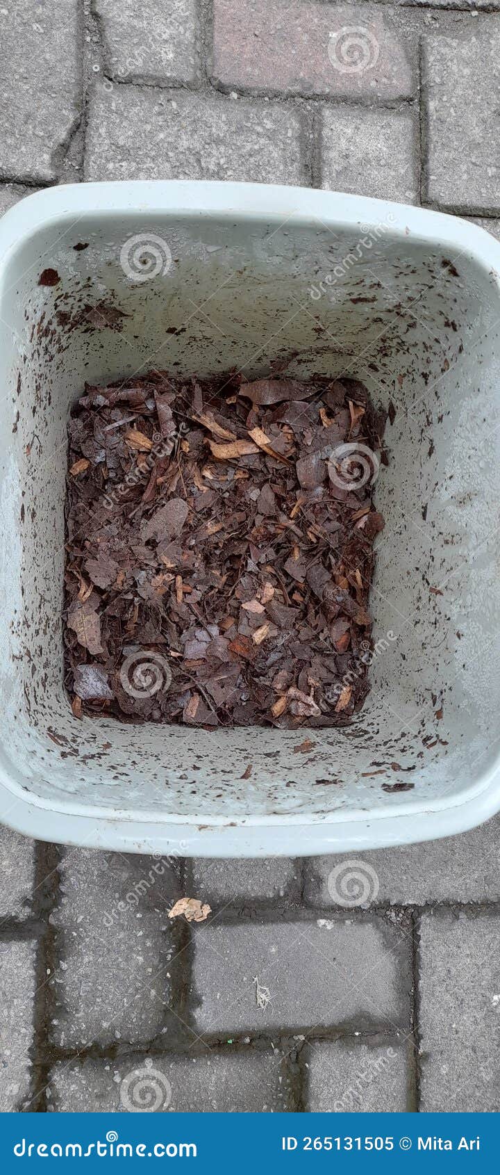 Rotten Dry Leaves for Compost Stock Image - Image of decomposed ...