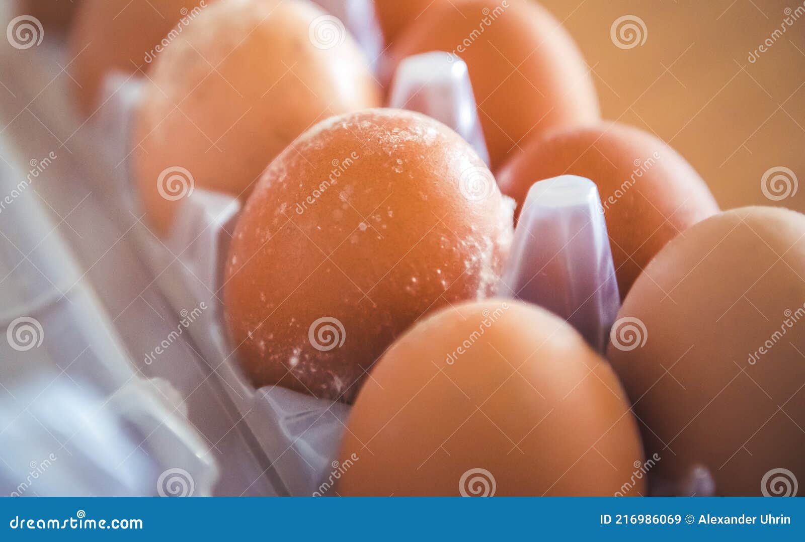 Rotten the Eggs. Poor Egg Storage. Stock Image - Image of farm ...
