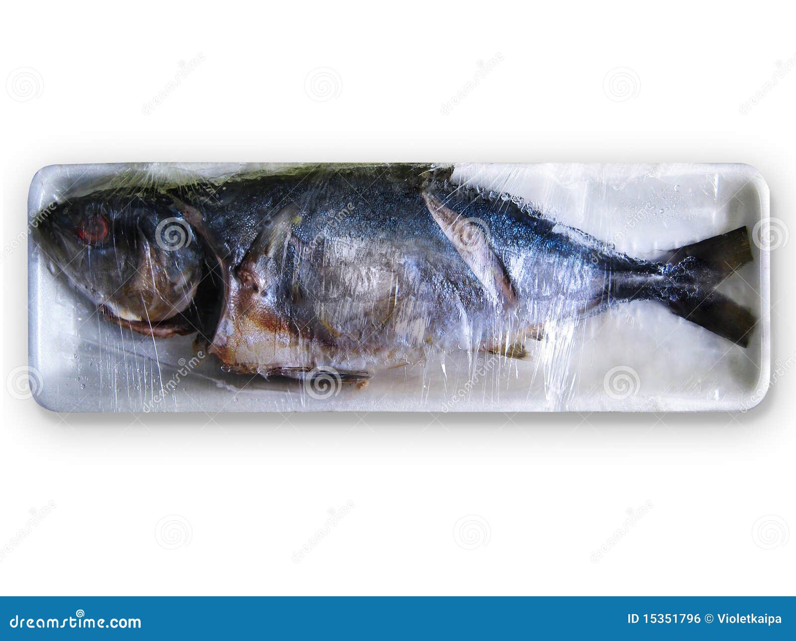 Rotten Fish Royalty-Free Stock Image | CartoonDealer.com #15351796