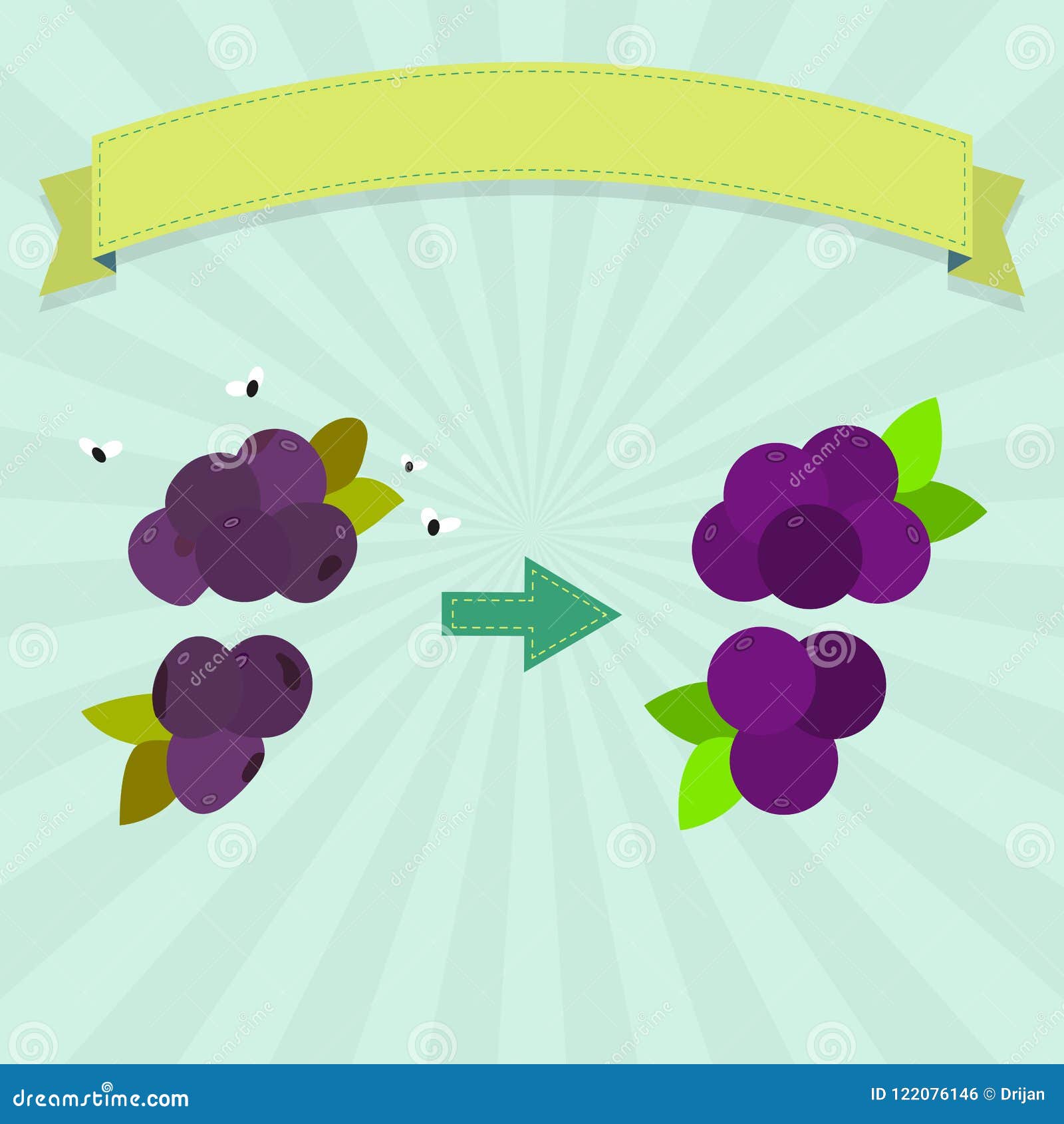 Acai Fruit Cute Funny Cheerful Characters With Different Poses And ...