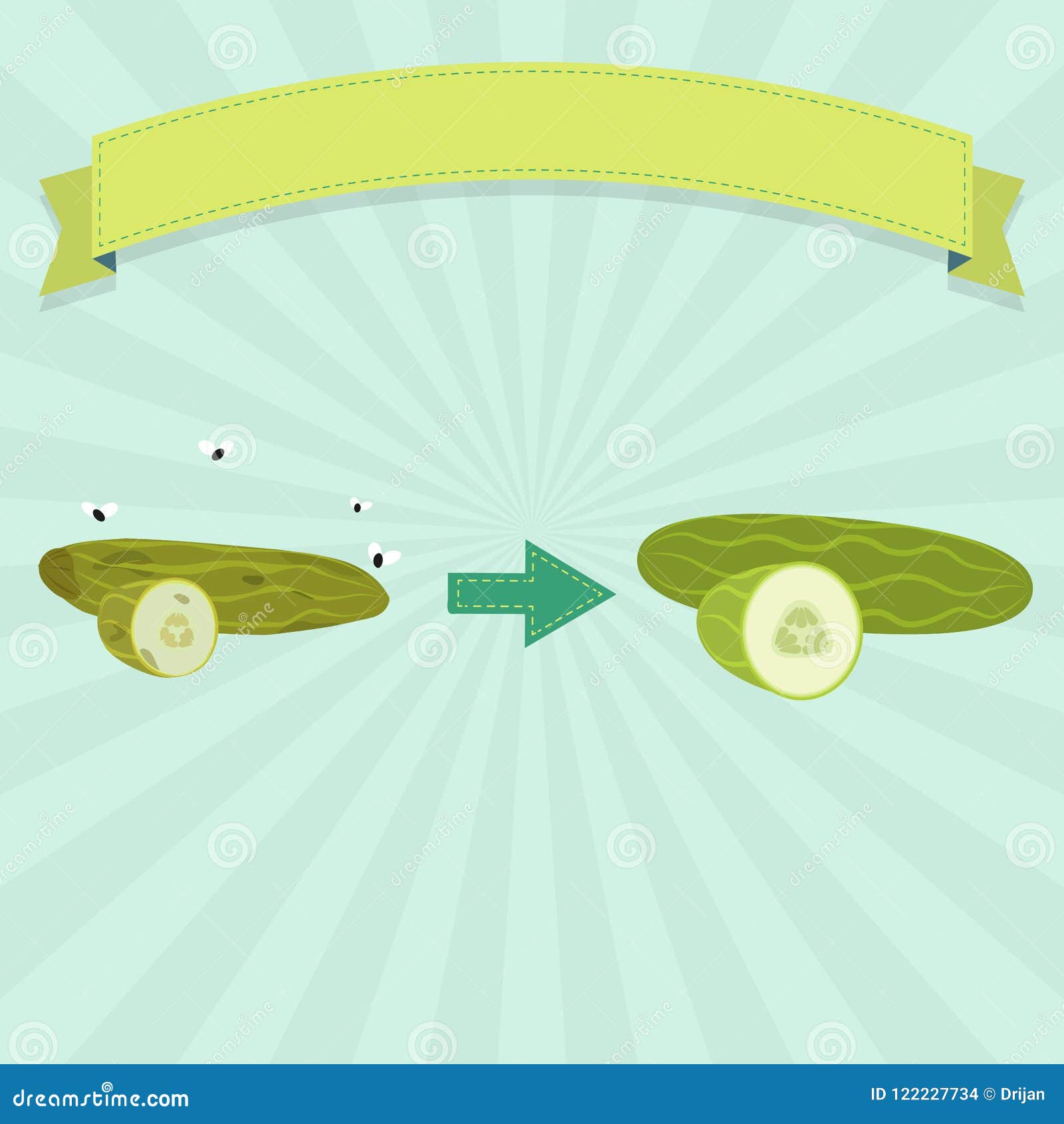 Rotten and fresh cucumber stock vector. Illustration of natural - 122227734