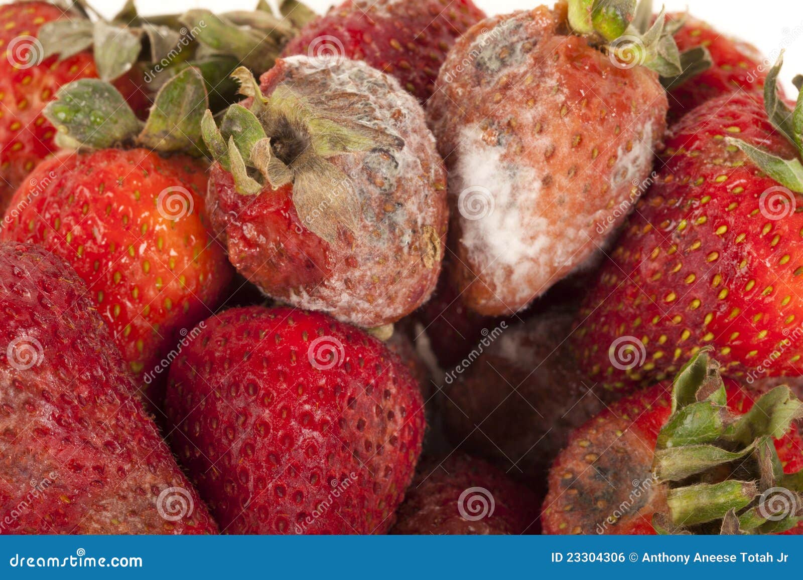Rotten Fruit stock photo. Image of food, nutrition, fruit - 23304306
