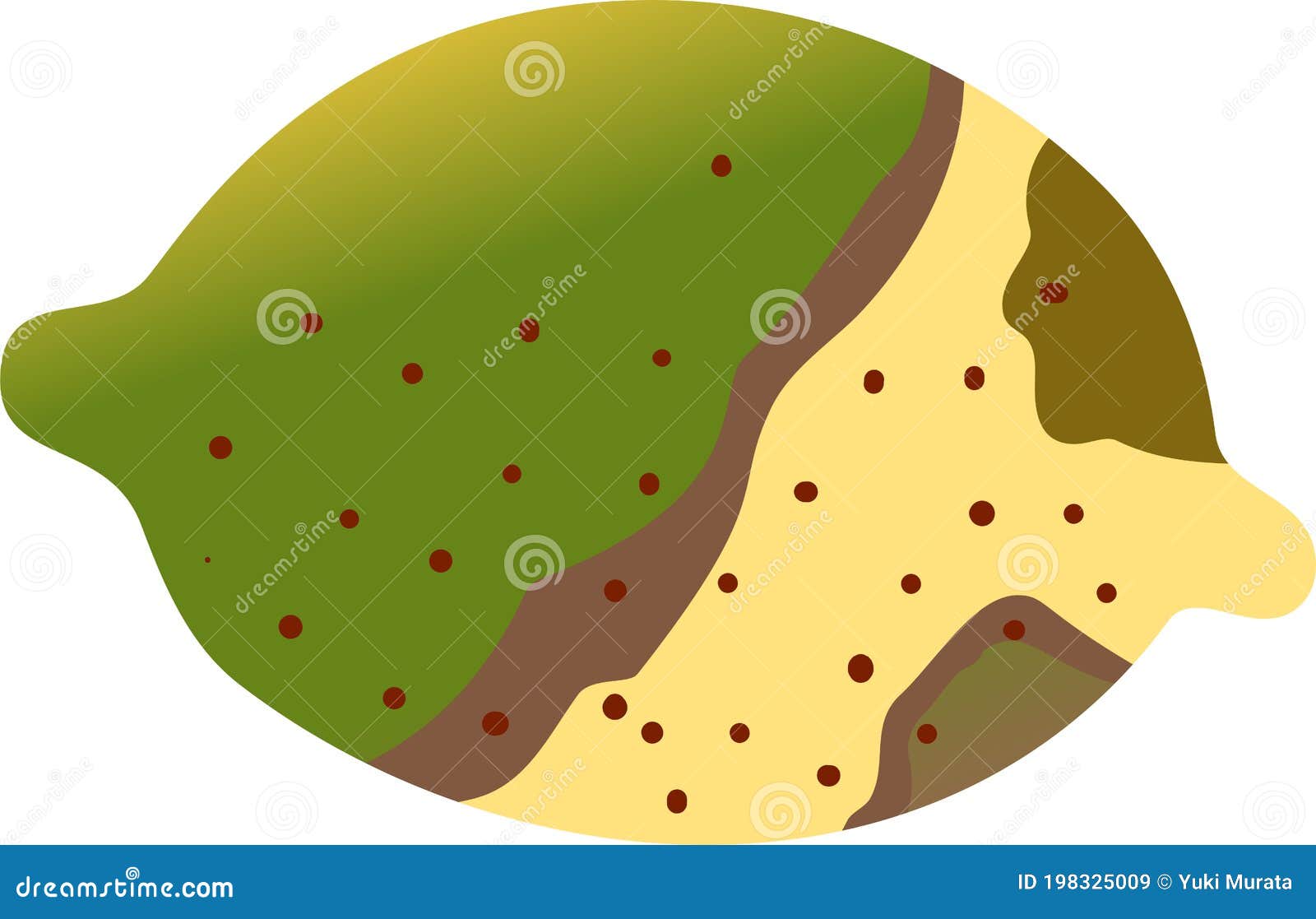 Rotten Fruits With Stinky Rot Covered The Skin Vector Set ...