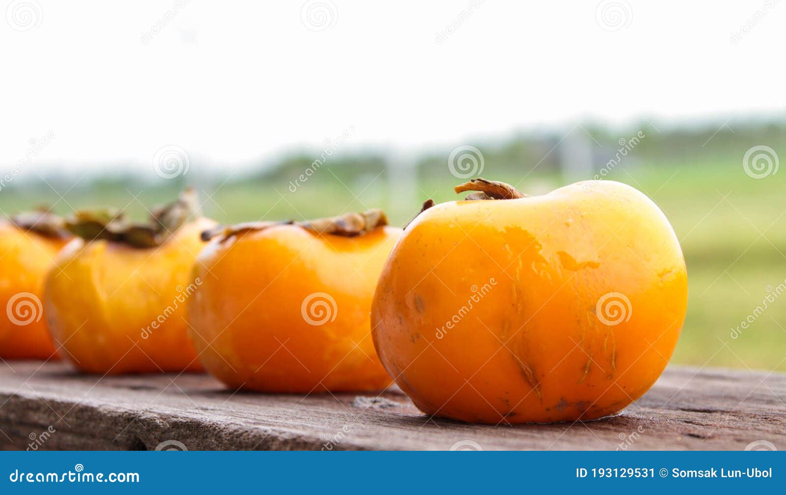 Rotten Fruit, Persimmons Rotten on the Wood Stock Image - Image of ...