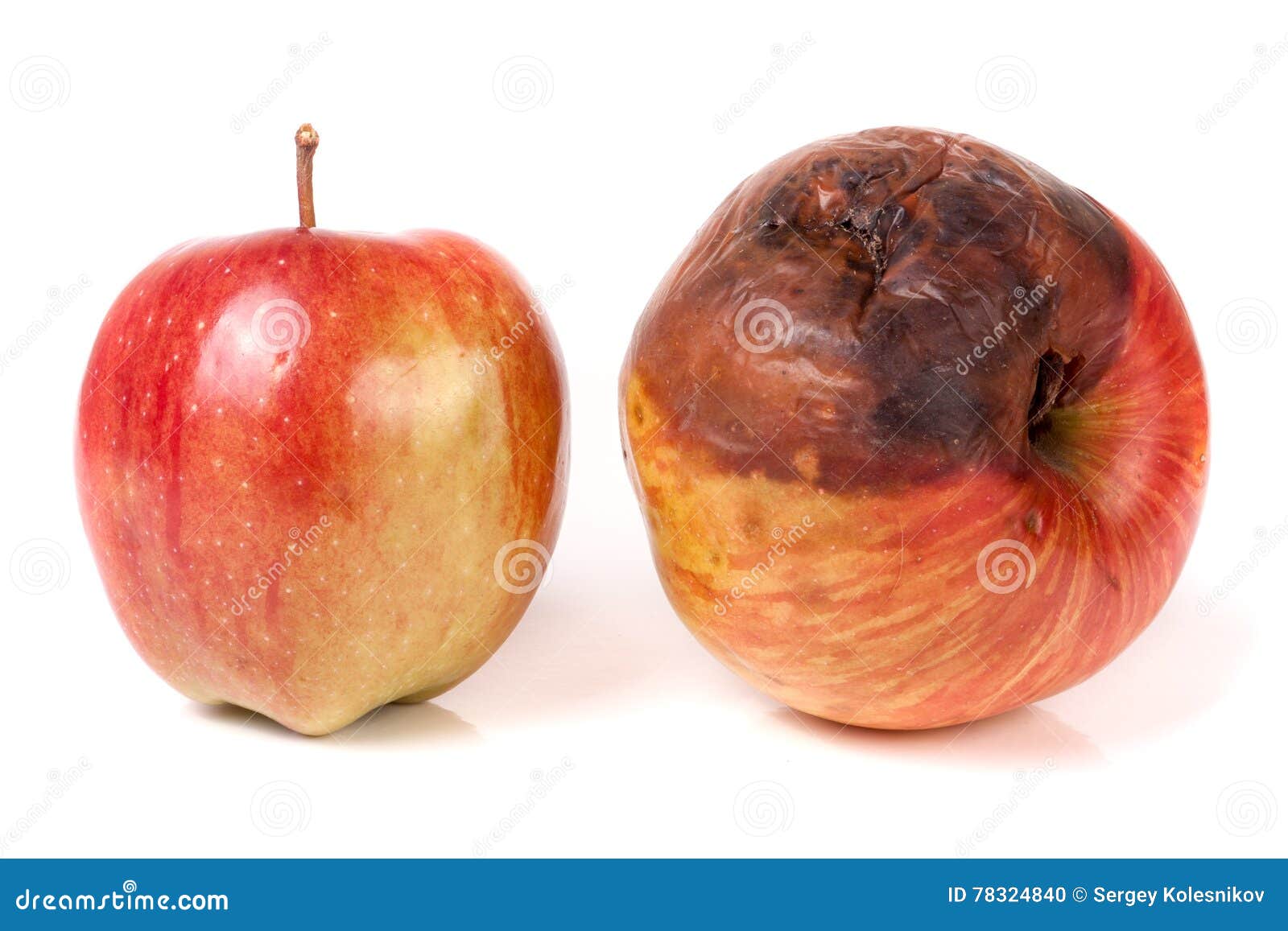 Rotten And Good Apple Isolated On White Background Stock Photo - Image ...