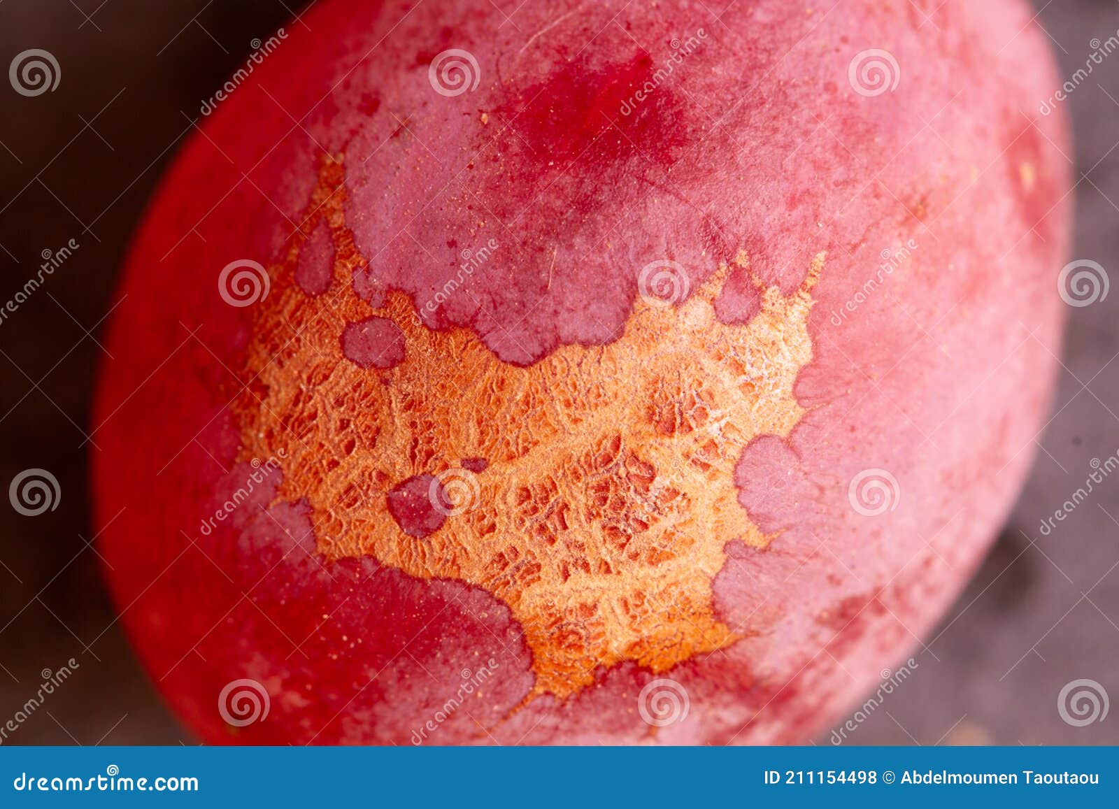Rotten grape stock photo. Image of disease, poisoning - 211154498