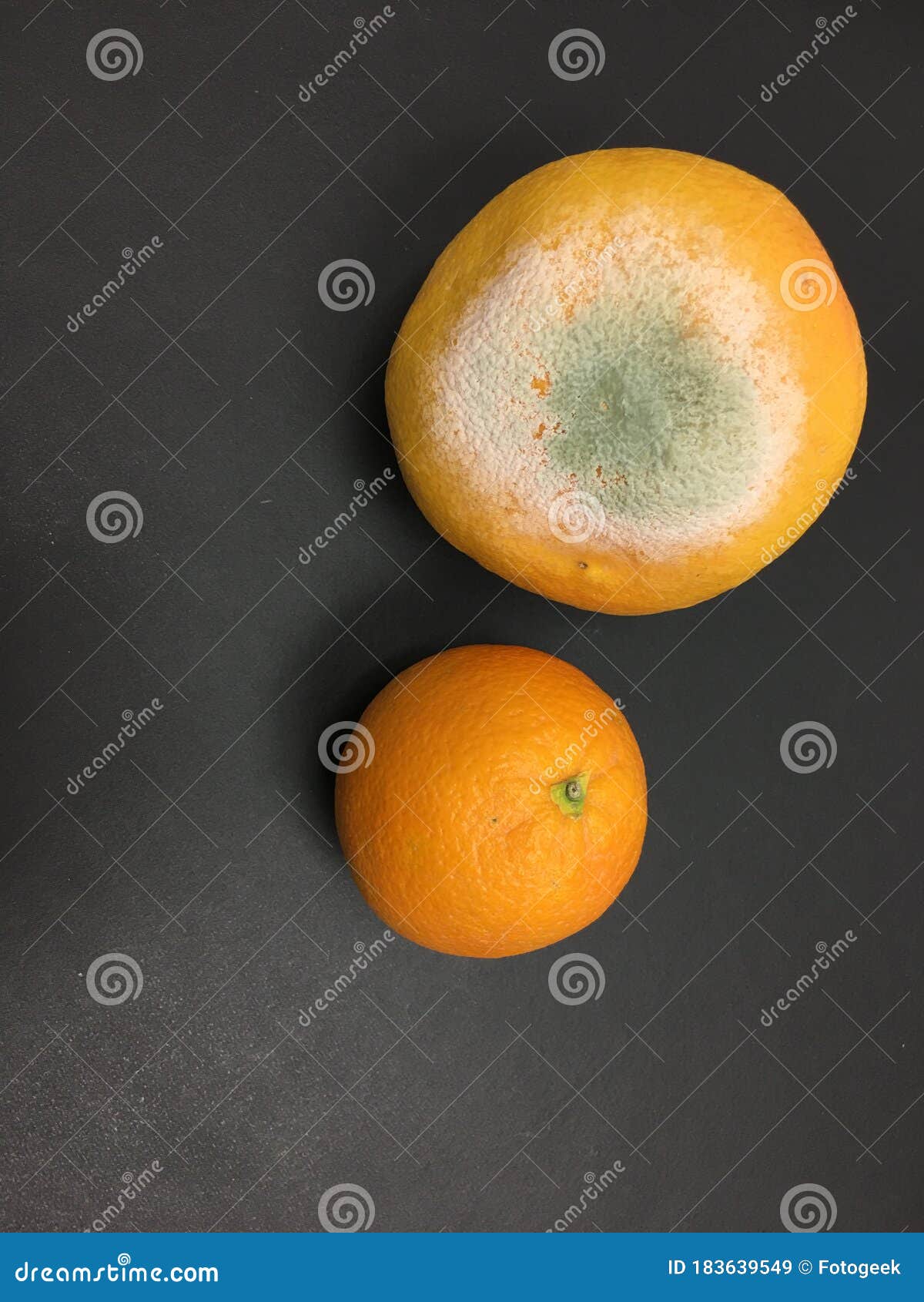 Rotten Grapefruit with Good Orange Stock Image - Image of black, rotten ...