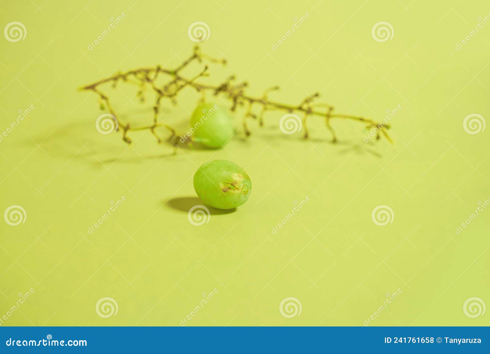 Rotten Grapes on an Empty Branch of Green Grapes on a Colored ...