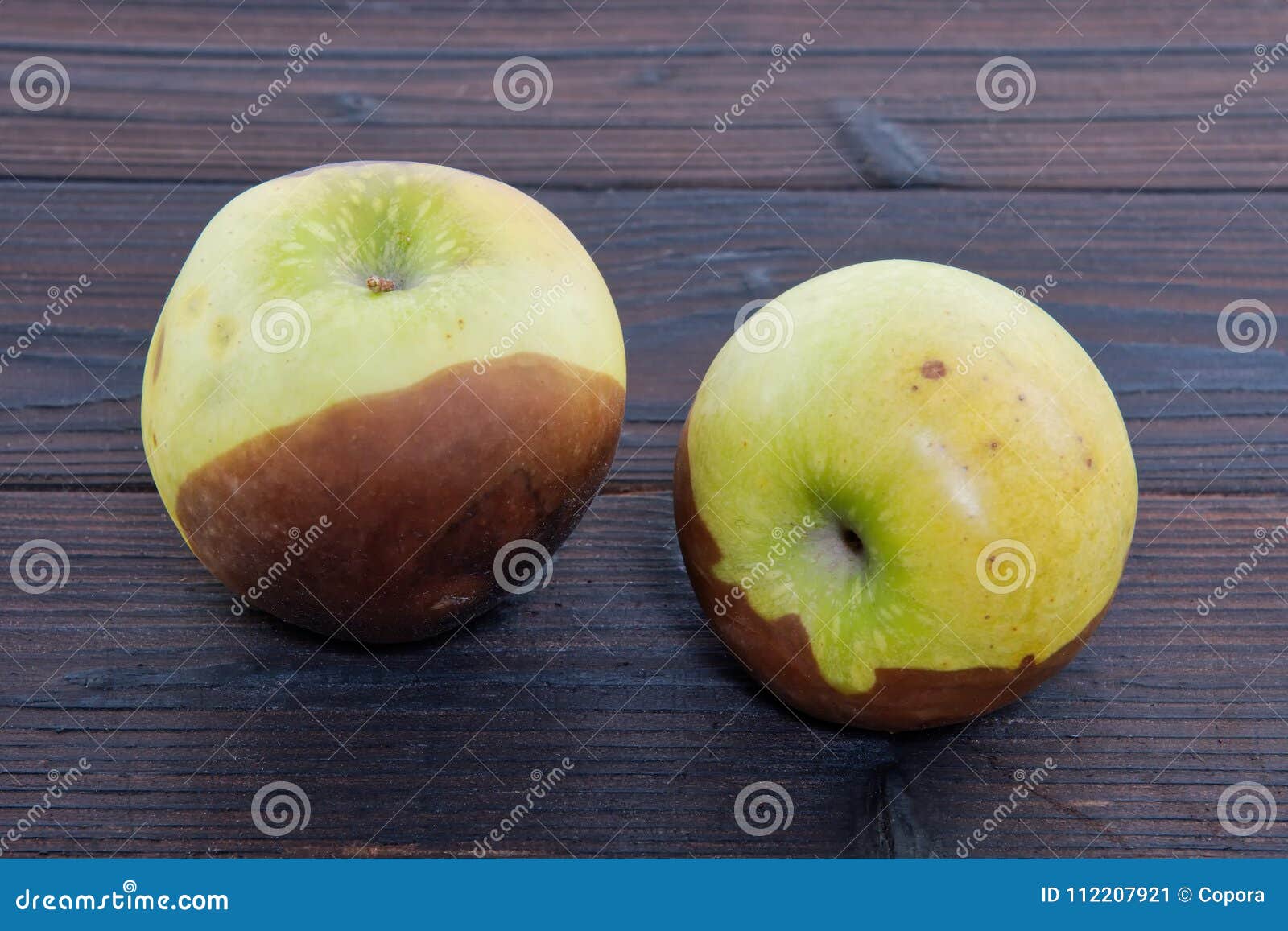 Rotten Green Apples on a Table Stock Image - Image of closeup, fruit ...