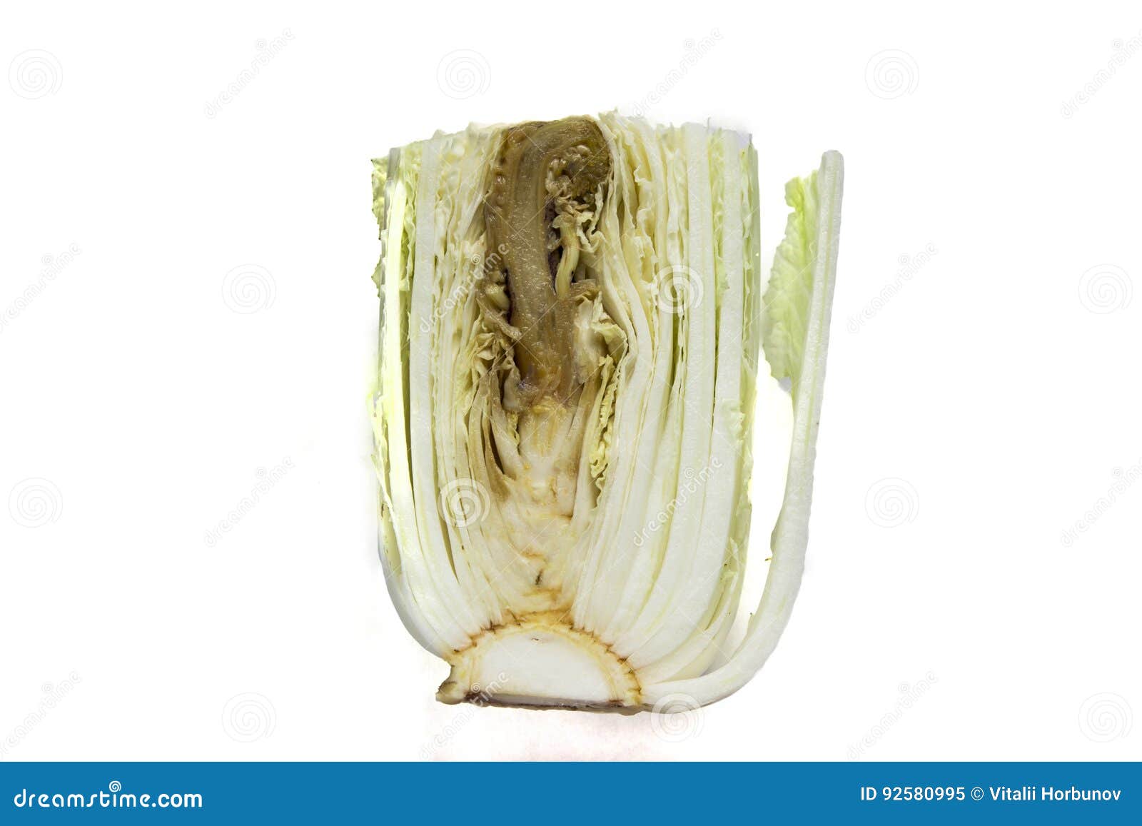 Rotten Green Cabbage Isolated on a White Background Stock Image - Image ...