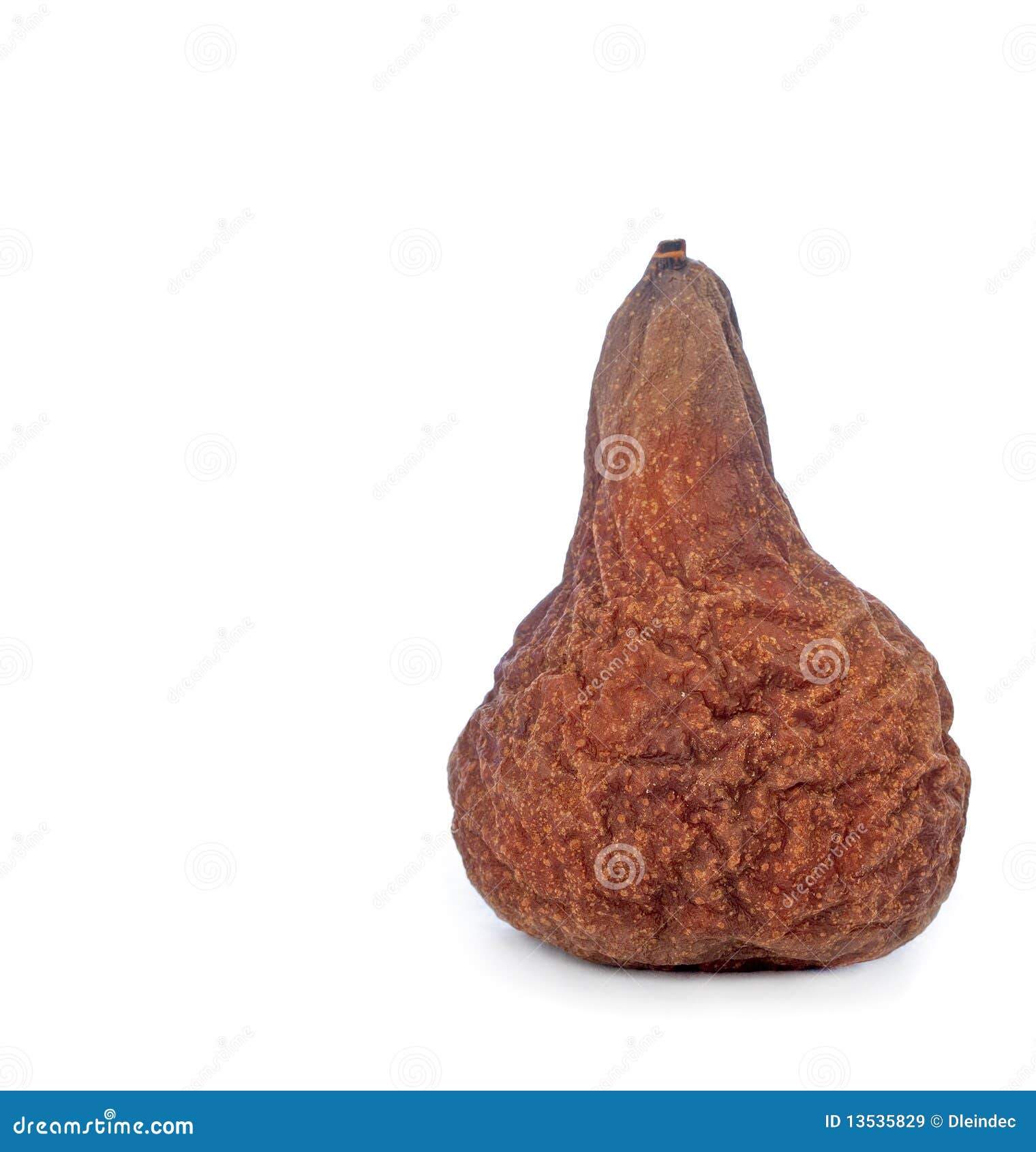 Rotten Green Pepper. Diseases Of The Capsicum And Bell Pepper. Botrytis ...